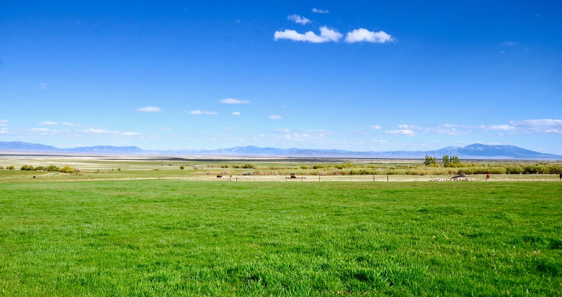 Clover Valley Ranch - Sold - Nevada - Hall and Hall