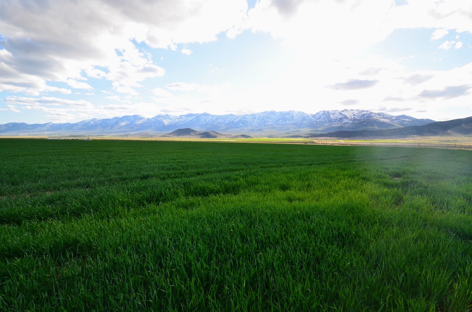 Clover Valley Ranch - Sold - Nevada - Hall and Hall