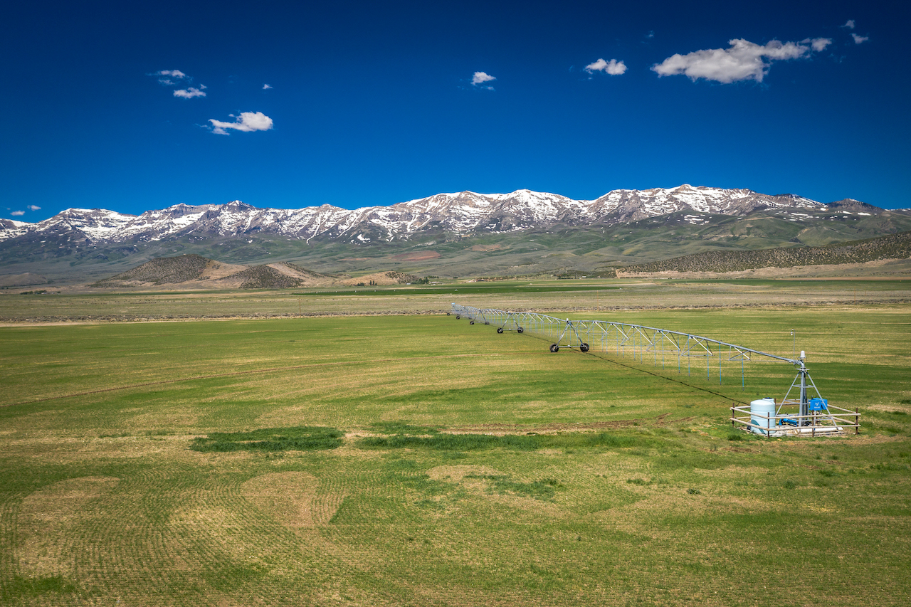 Clover Valley Ranch - Hall and Hall