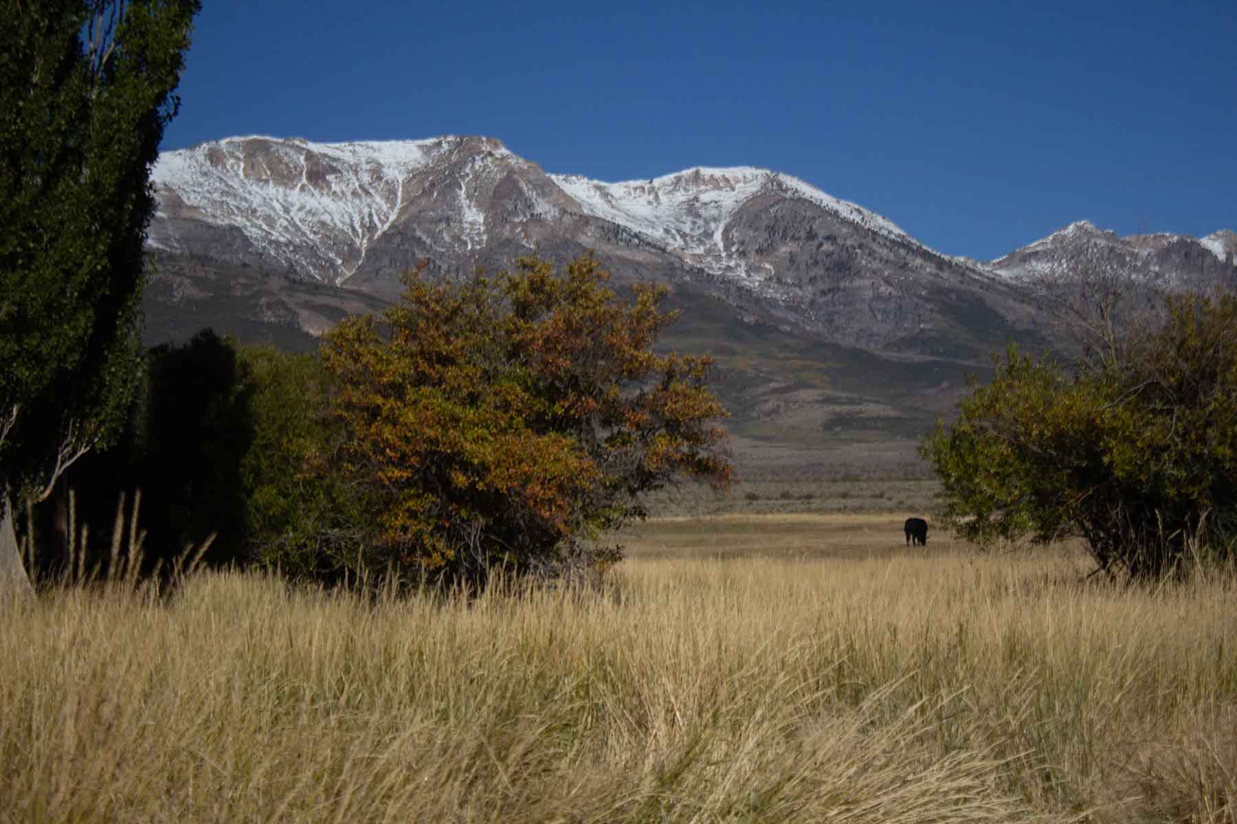 Clover Valley Ranch - Sold - Nevada - Hall and Hall