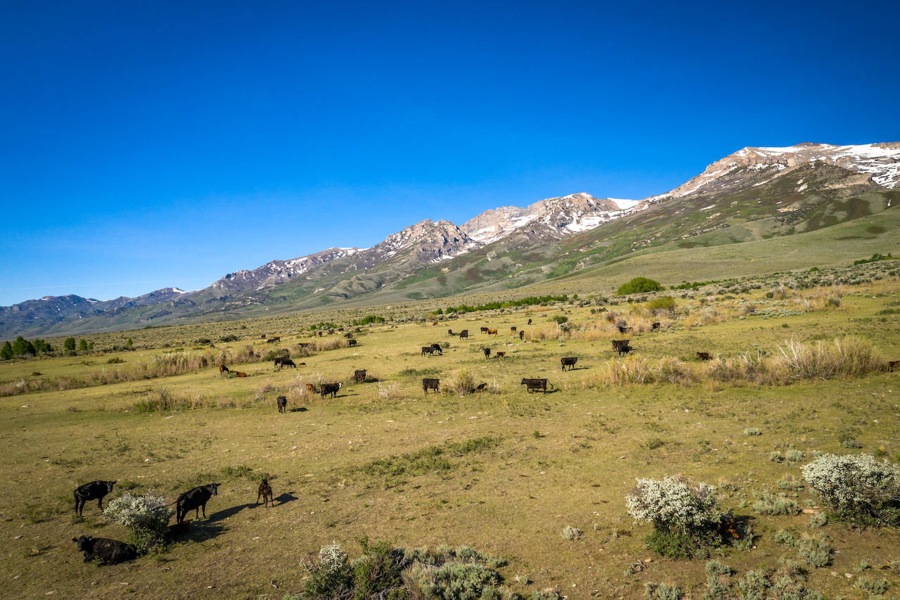 Clover Valley Ranch - Hall and Hall
