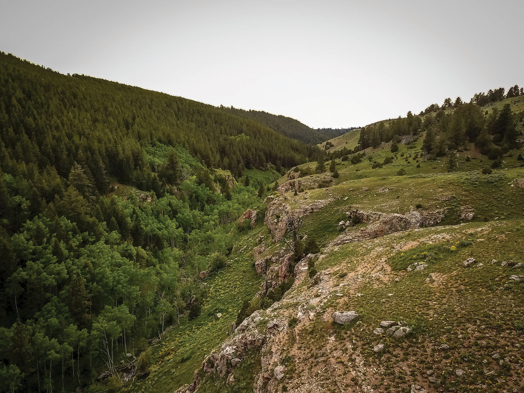 Red Reflet Ranch - Sold - Wyoming - Hall and Hall