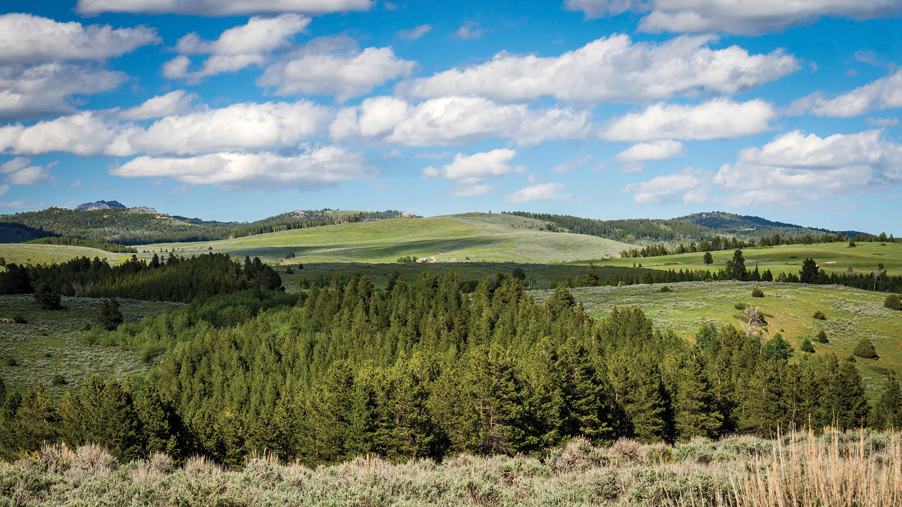 Red Reflet Ranch - Sold - Wyoming - Hall and Hall