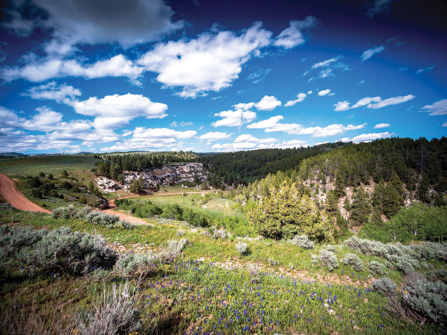 Red Reflet Ranch - Sold - Wyoming - Hall and Hall