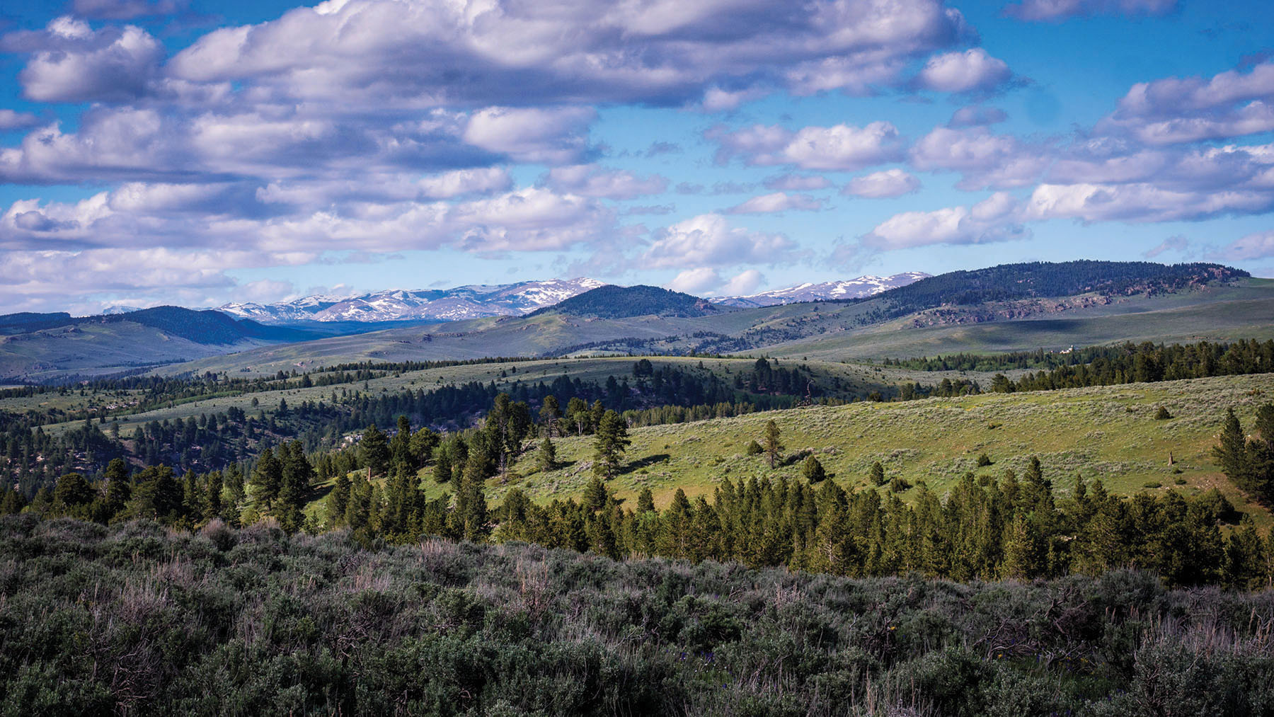 Red Reflet Ranch - Sold - Wyoming - Hall and Hall