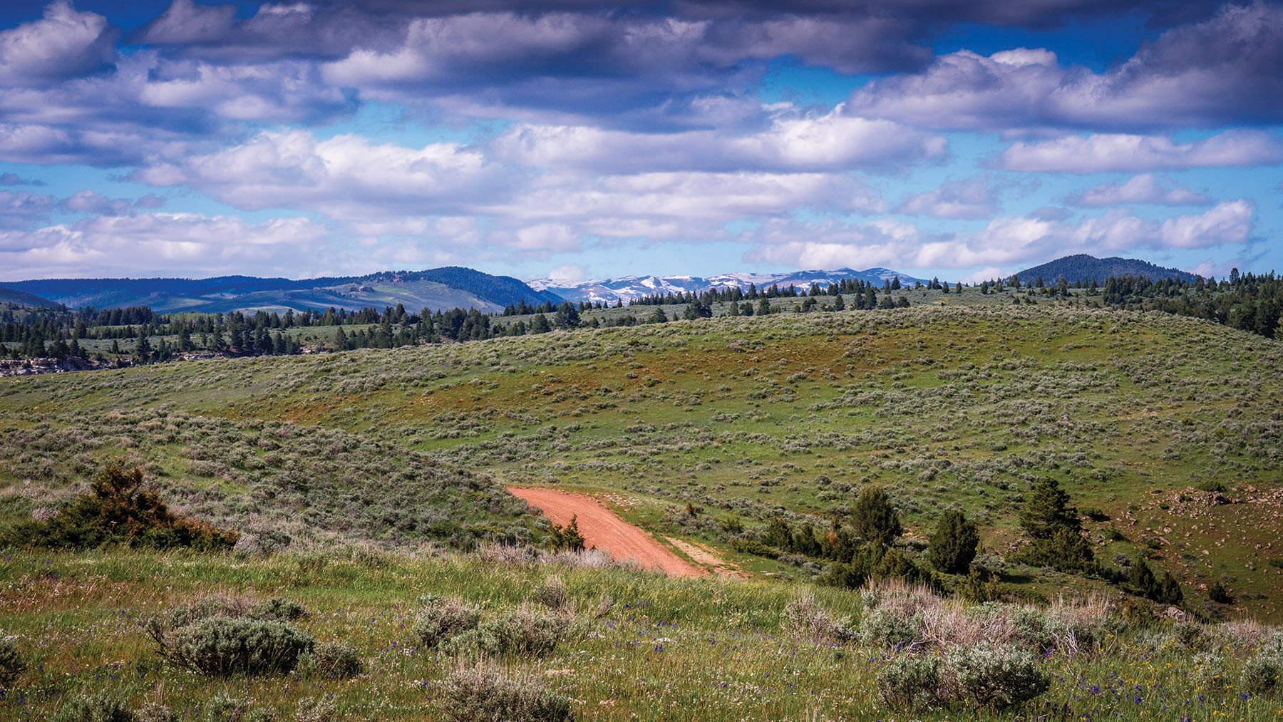 Red Reflet Ranch - Sold - Wyoming - Hall and Hall