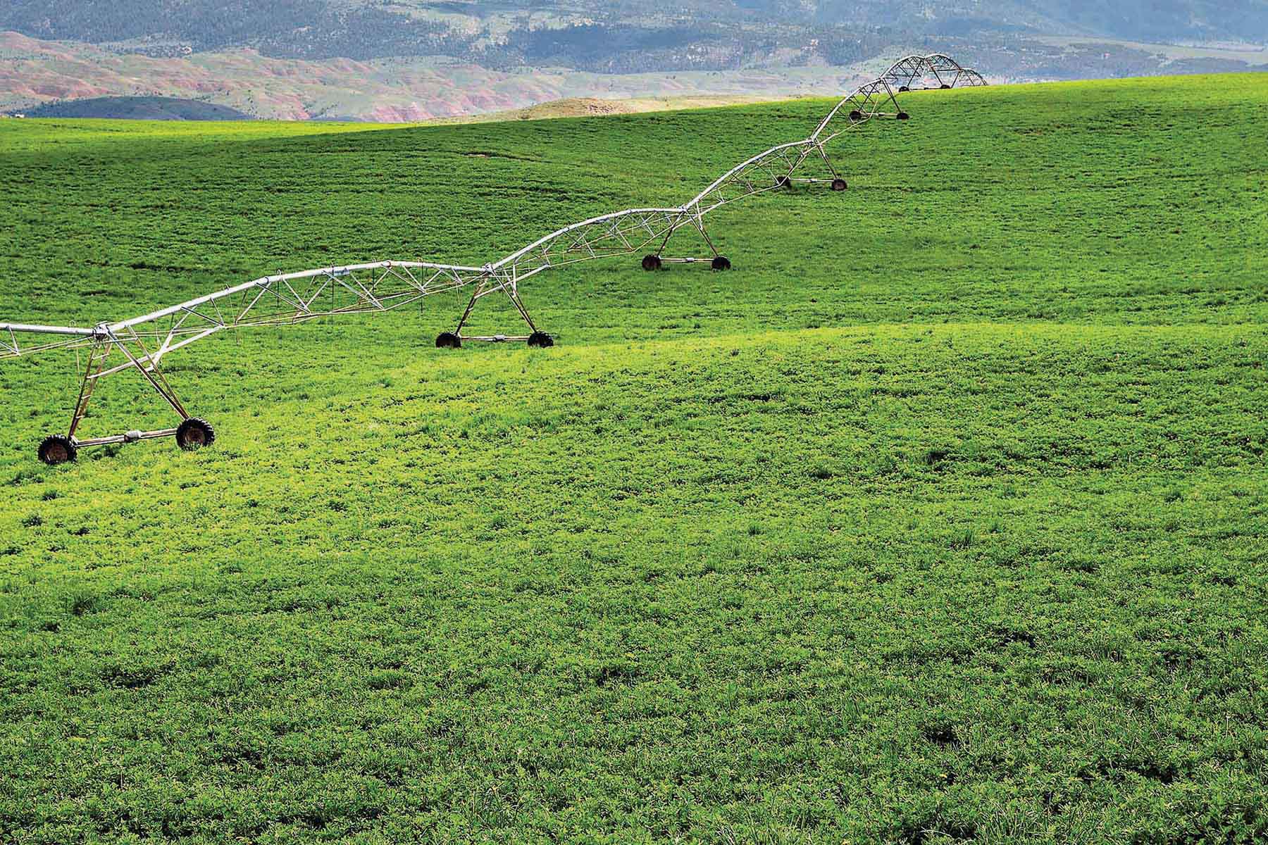 Red Reflet Ranch - Sold - Wyoming - Hall and Hall