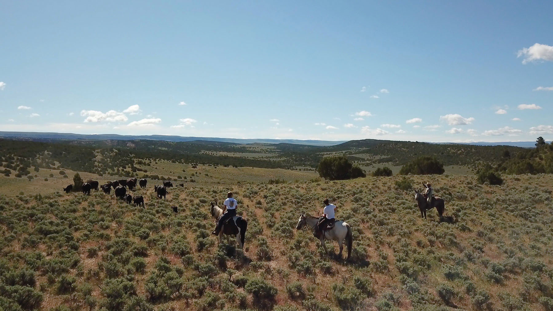 Red Reflet Ranch - Sold - Wyoming - Hall and Hall
