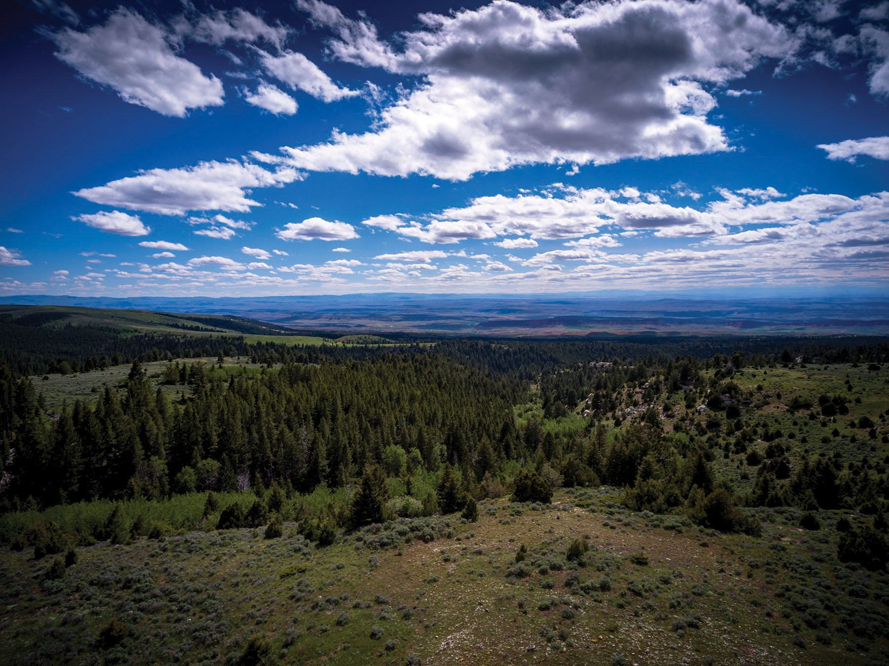 Red Reflet Ranch - Sold - Wyoming - Hall and Hall