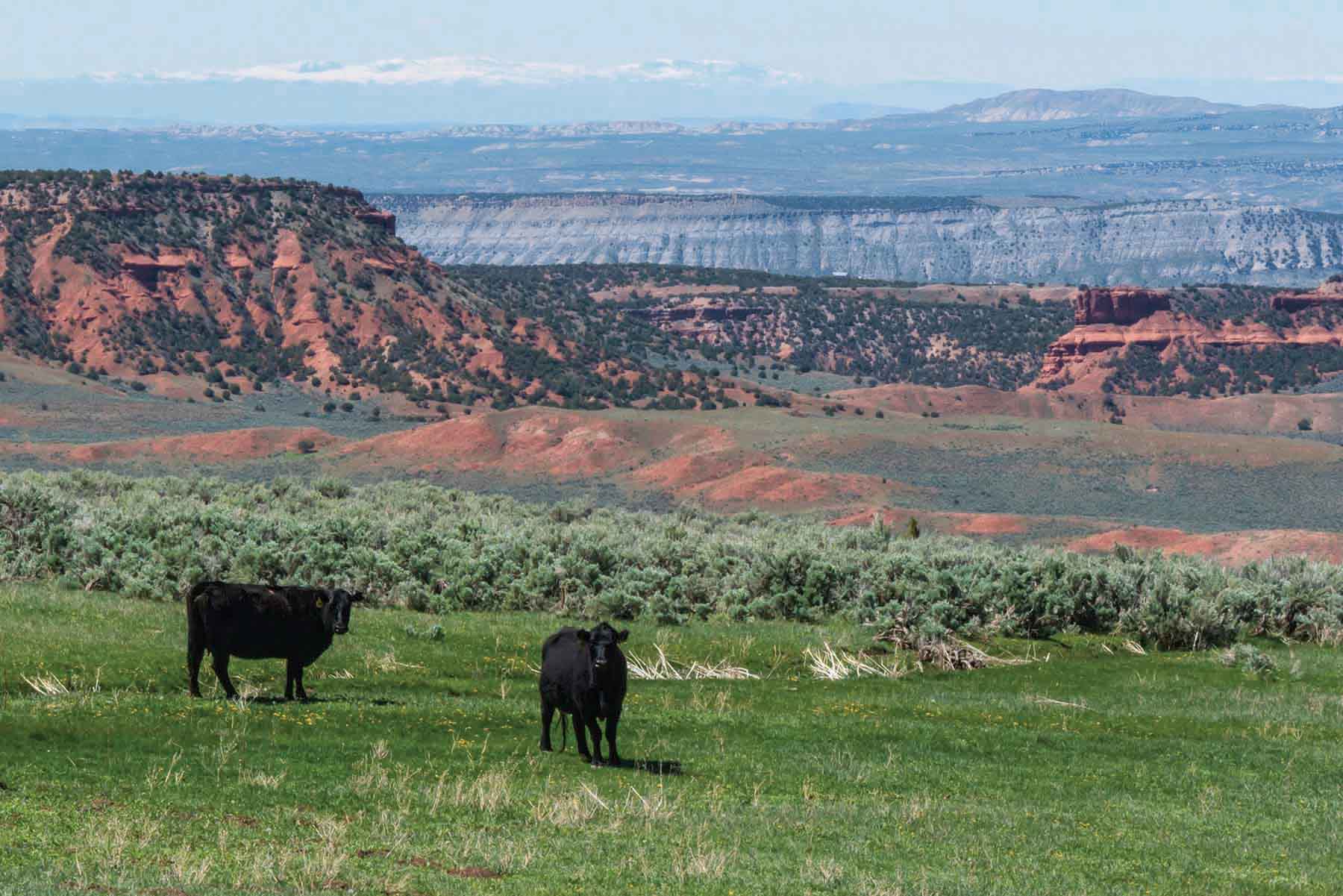 Red Reflet Ranch - Sold - Wyoming - Hall and Hall