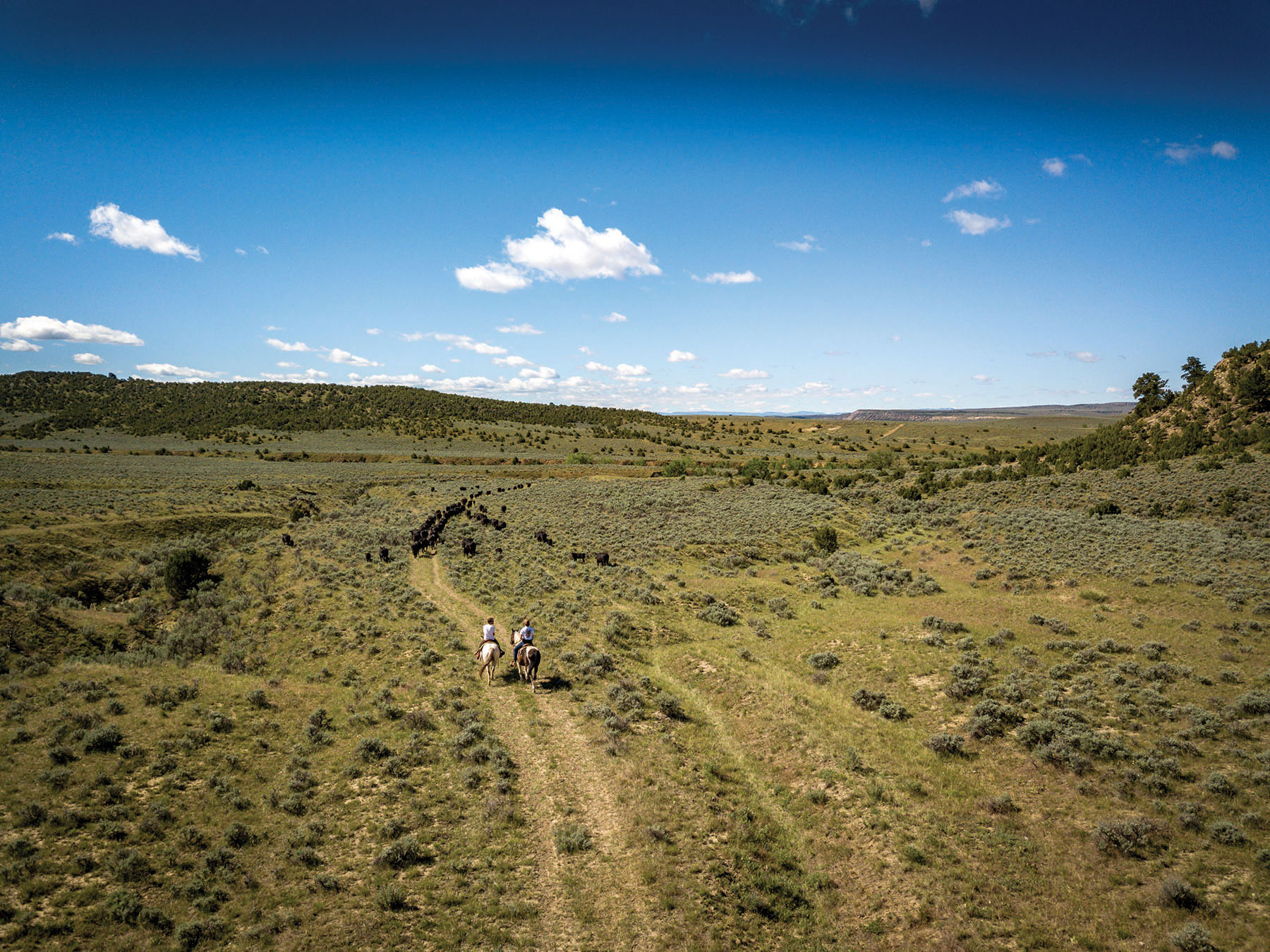 Red Reflet Ranch - Sold - Wyoming - Hall and Hall
