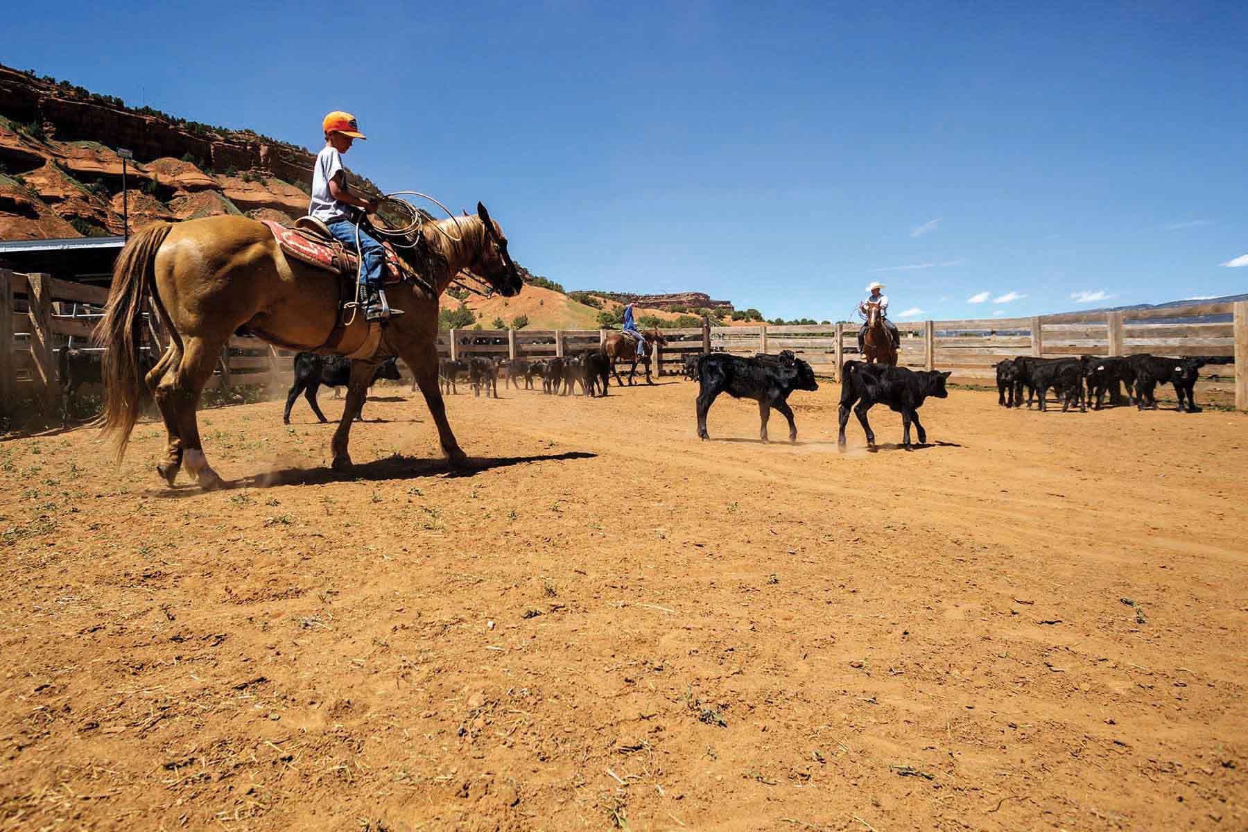 Red Reflet Ranch - Sold - Wyoming - Hall and Hall