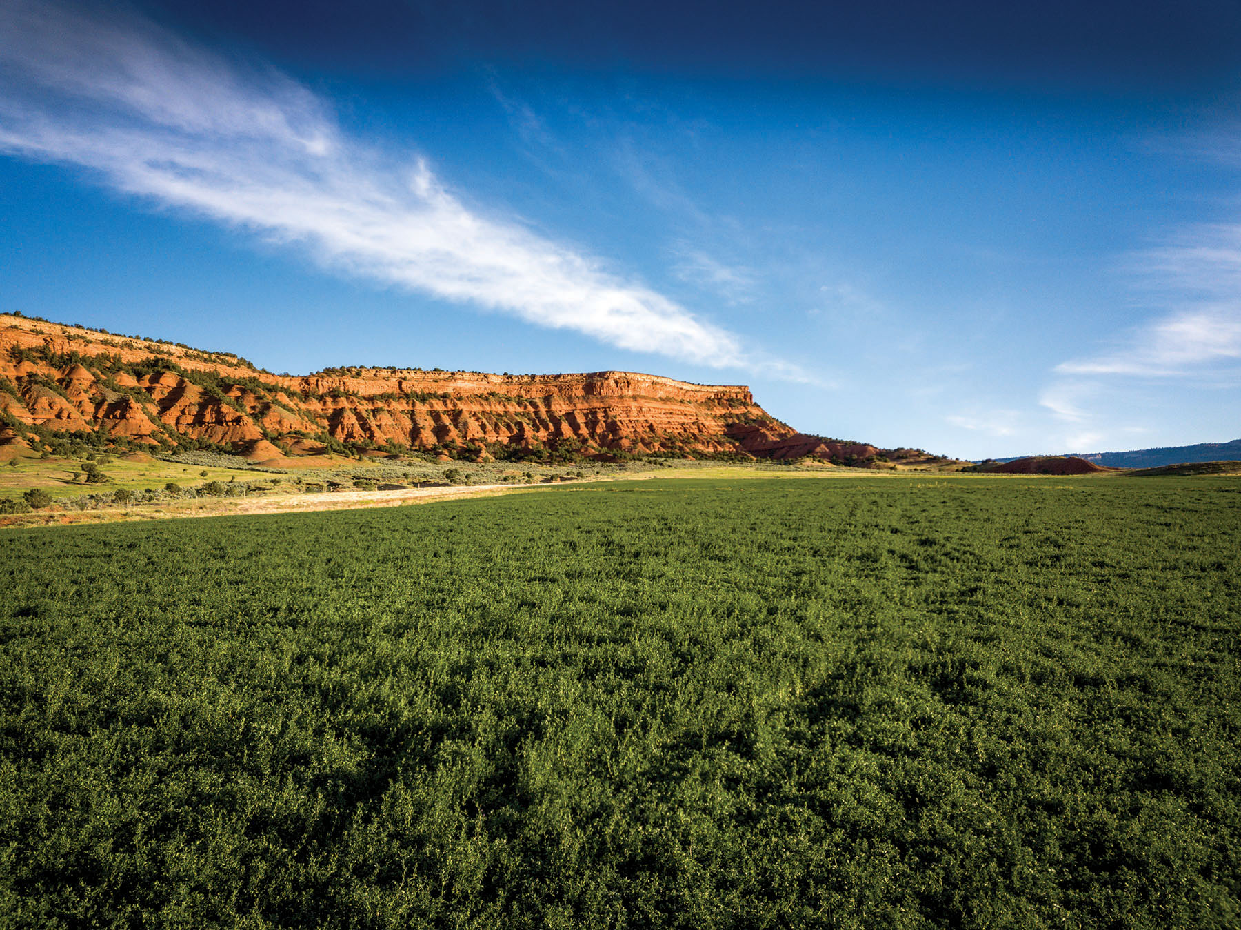 Red Reflet Ranch - Sold - Wyoming - Hall and Hall