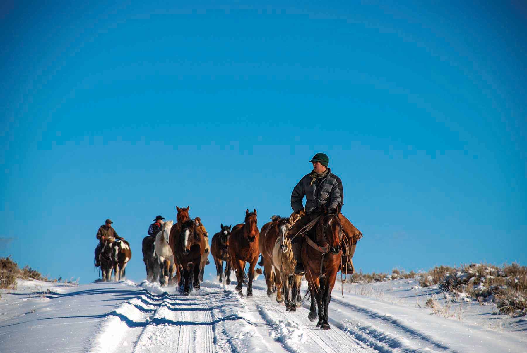 Red Reflet Ranch - Sold - Wyoming - Hall and Hall