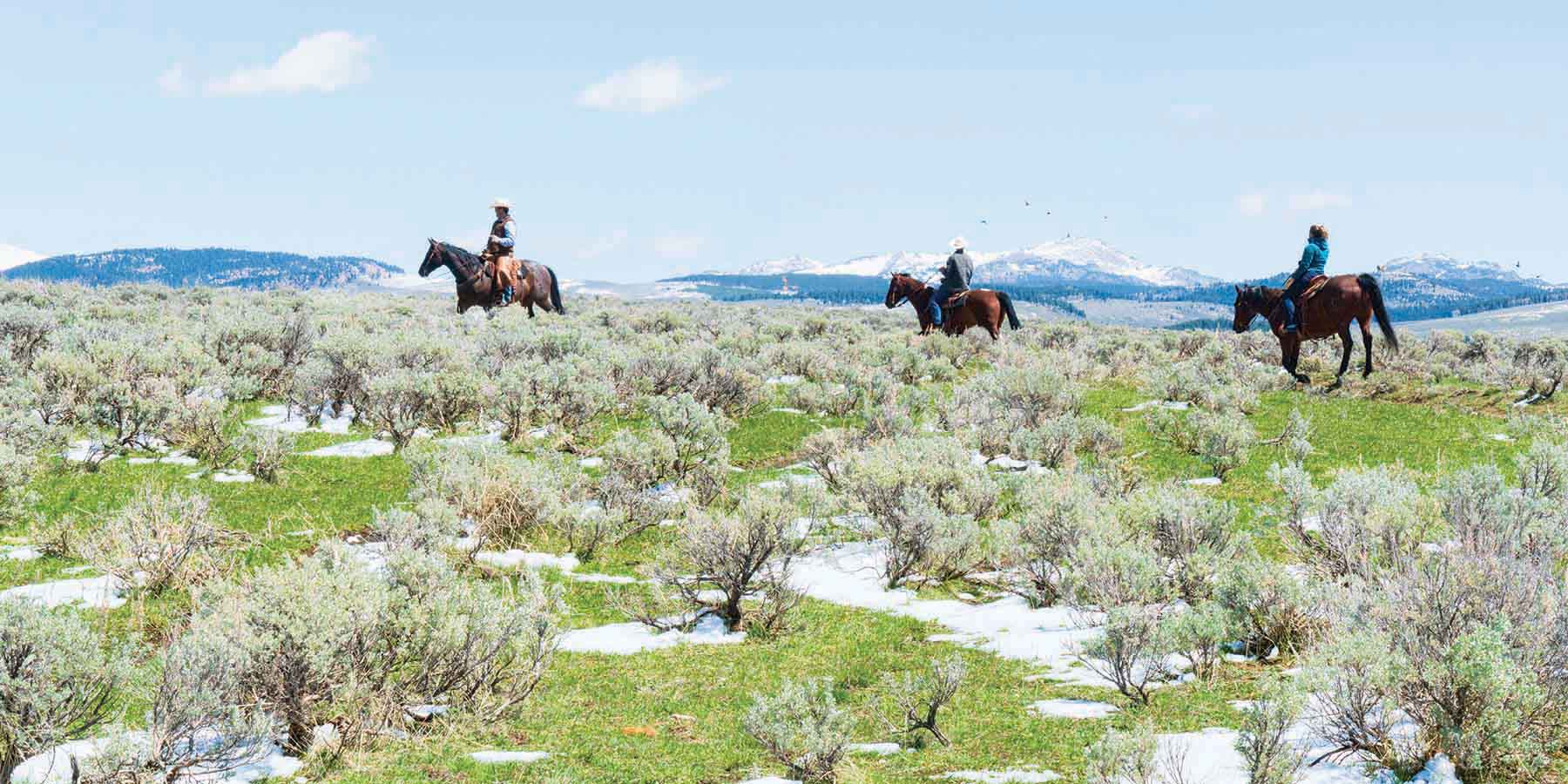 Red Reflet Ranch - Sold - Wyoming - Hall and Hall