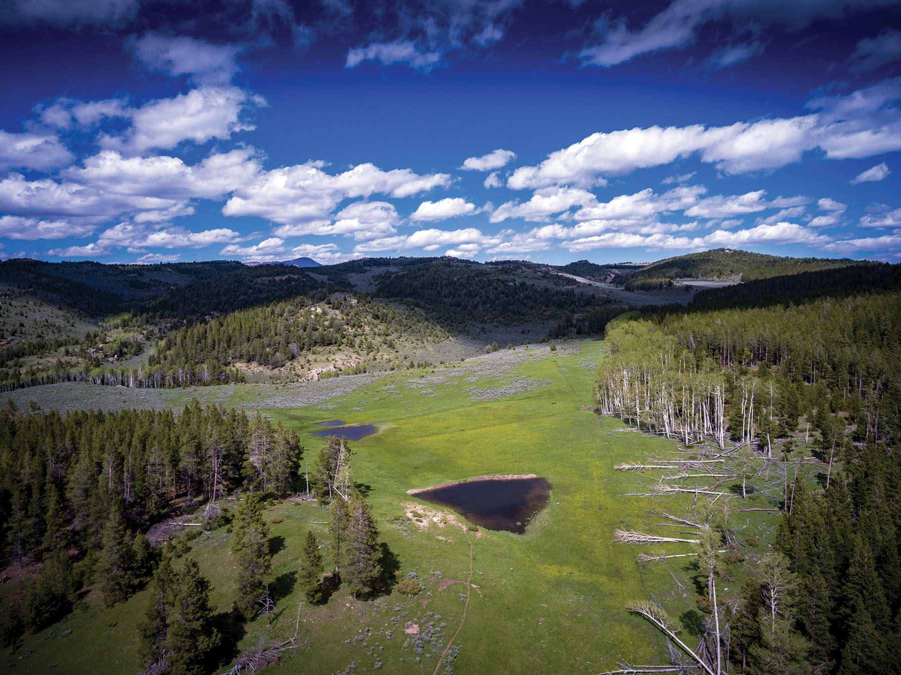 Red Reflet Ranch - Sold - Wyoming - Hall and Hall