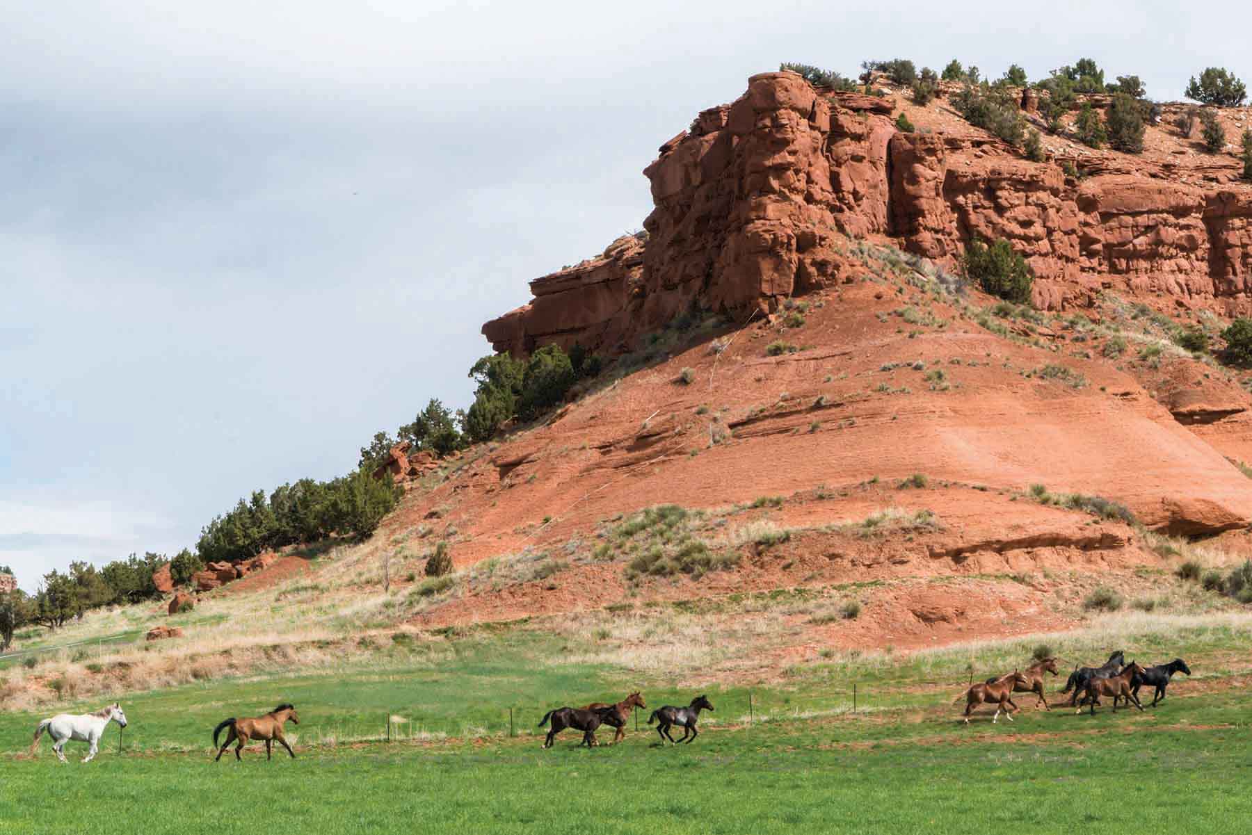 Red Reflet Ranch - Sold - Wyoming - Hall and Hall