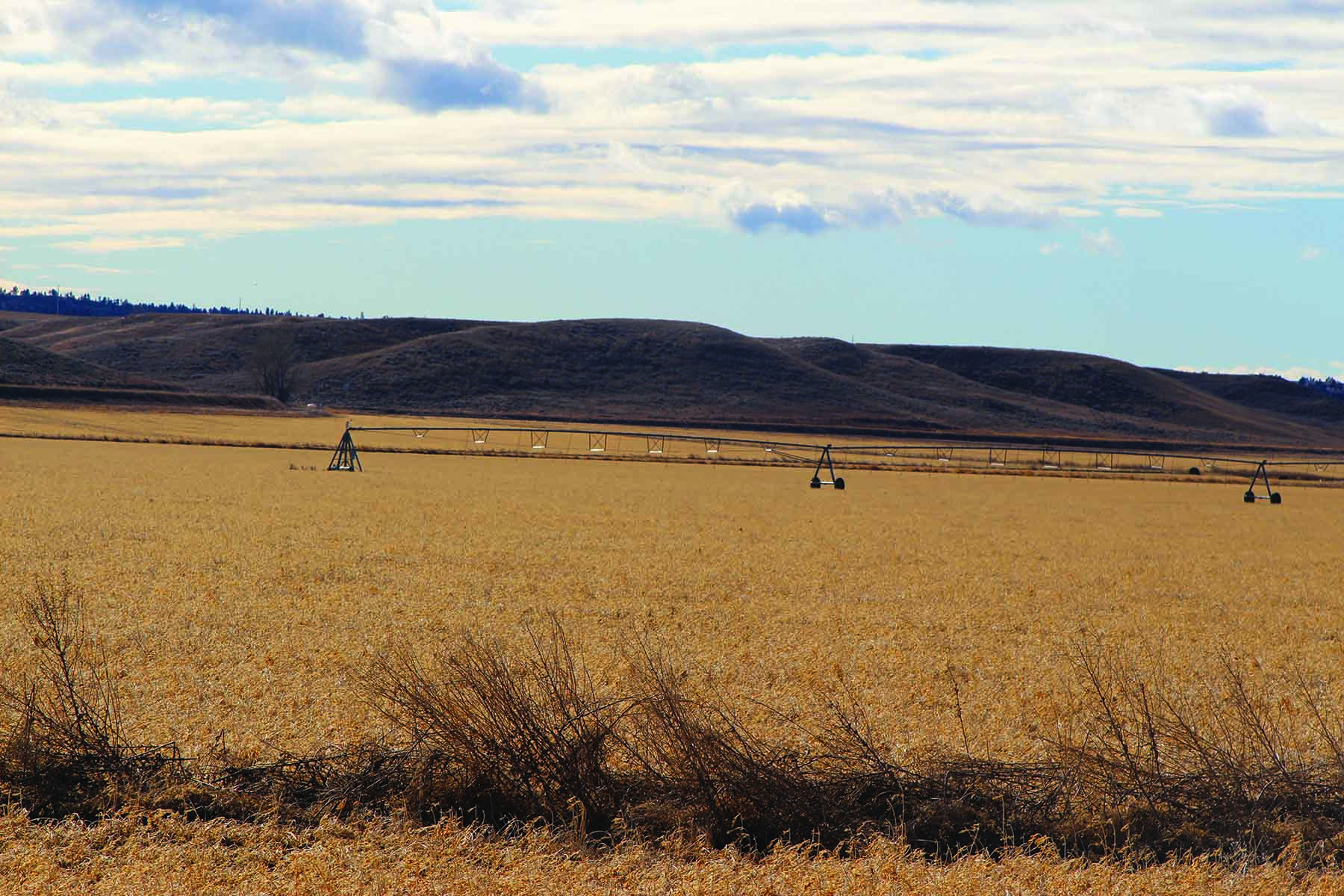 71 Ranch Hysham Farm - Sold - Montana - Hall and Hall