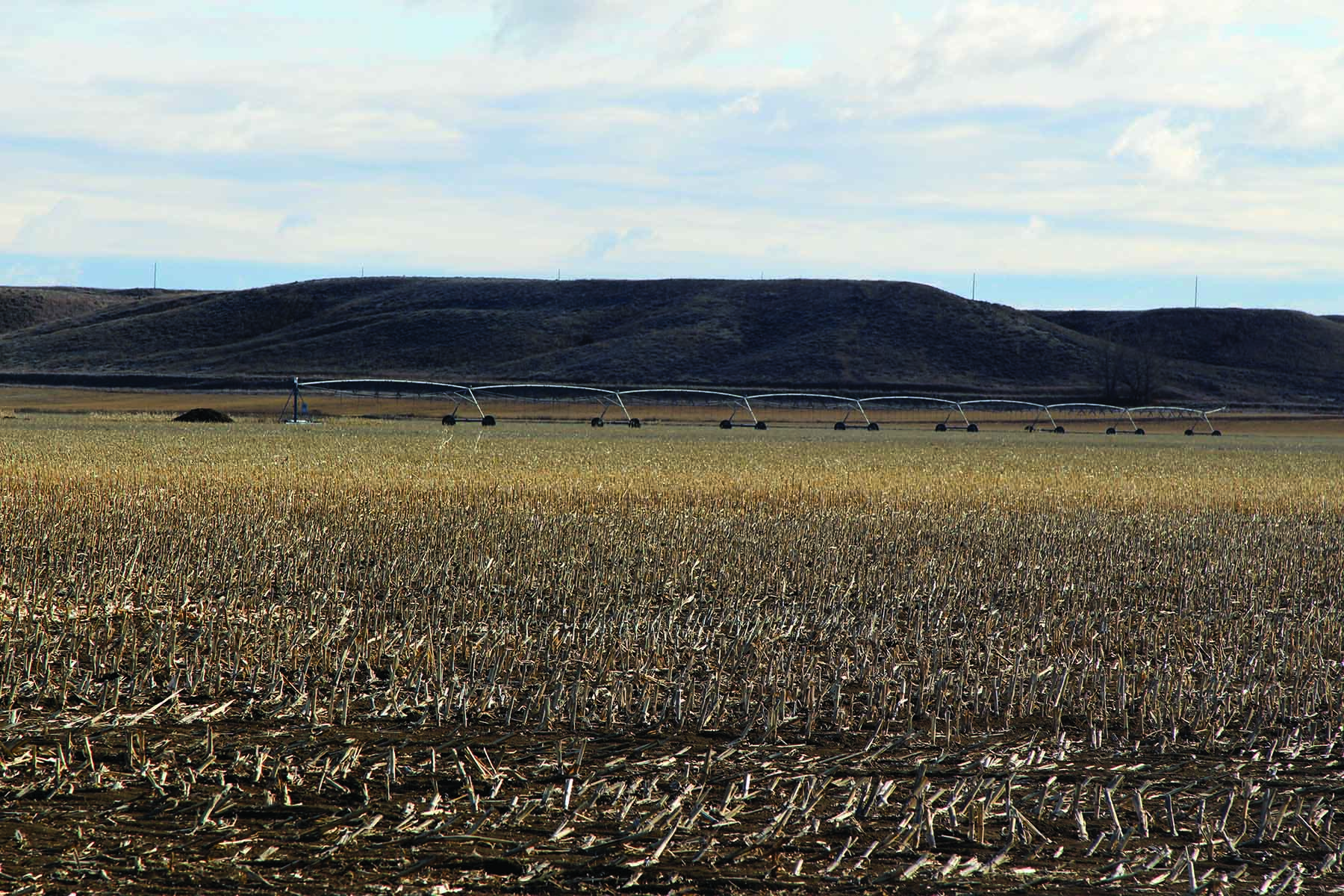 71 Ranch Hysham Farm - Sold - Montana - Hall and Hall