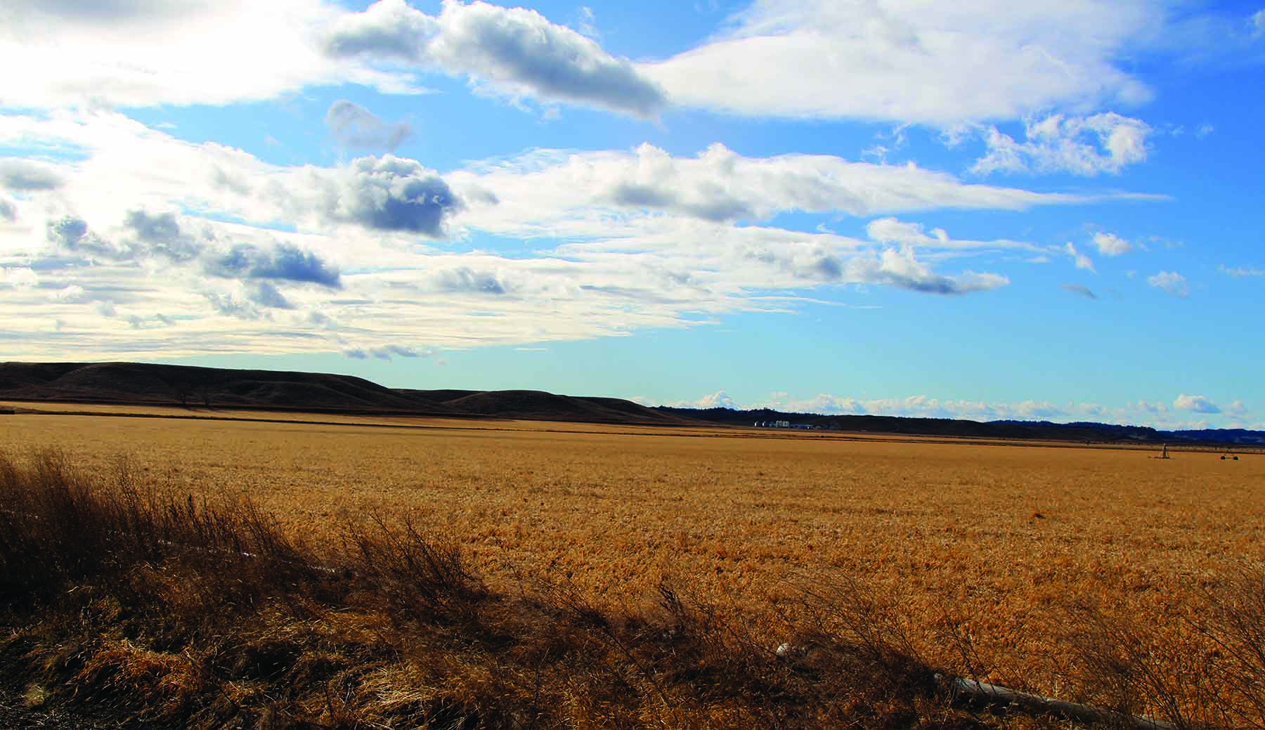 71 Ranch Hysham Farm - Sold - Montana - Hall and Hall