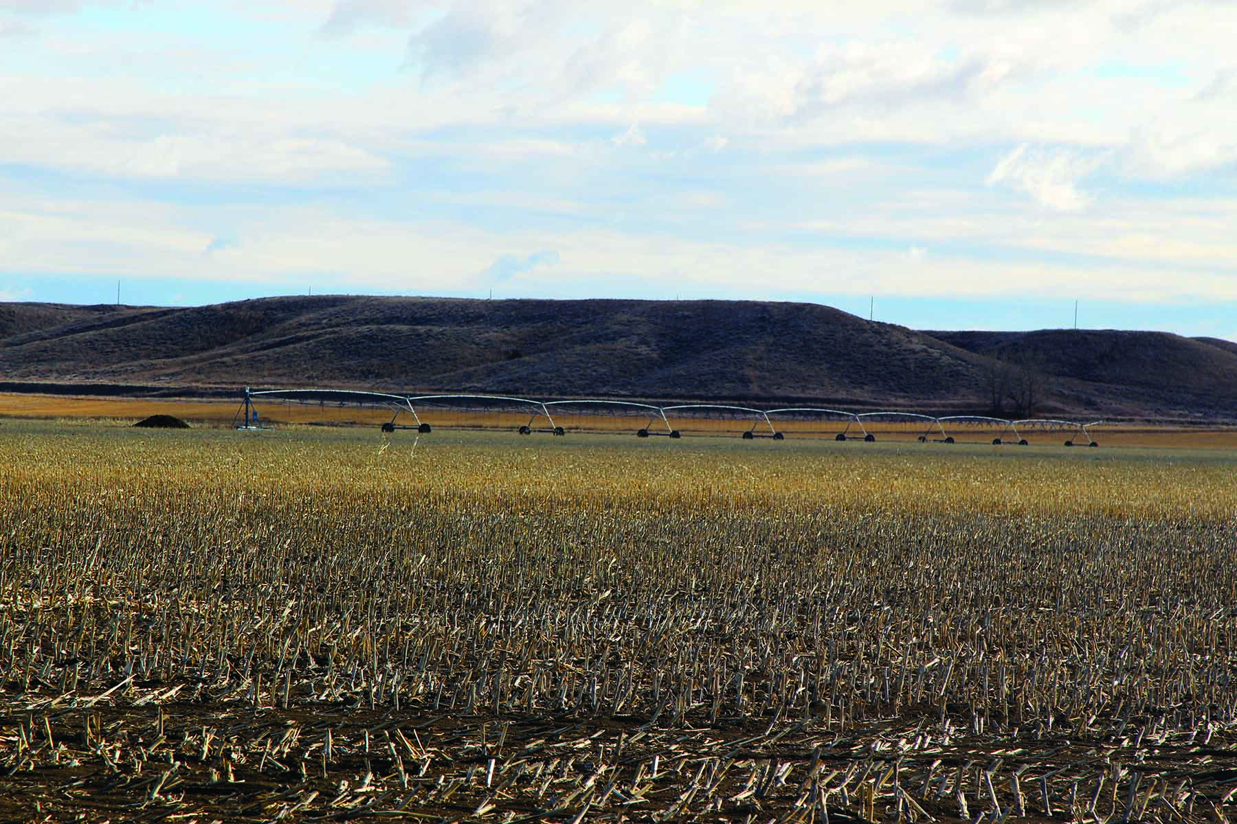 71 Ranch Hysham Farm - Sold - Montana - Hall and Hall