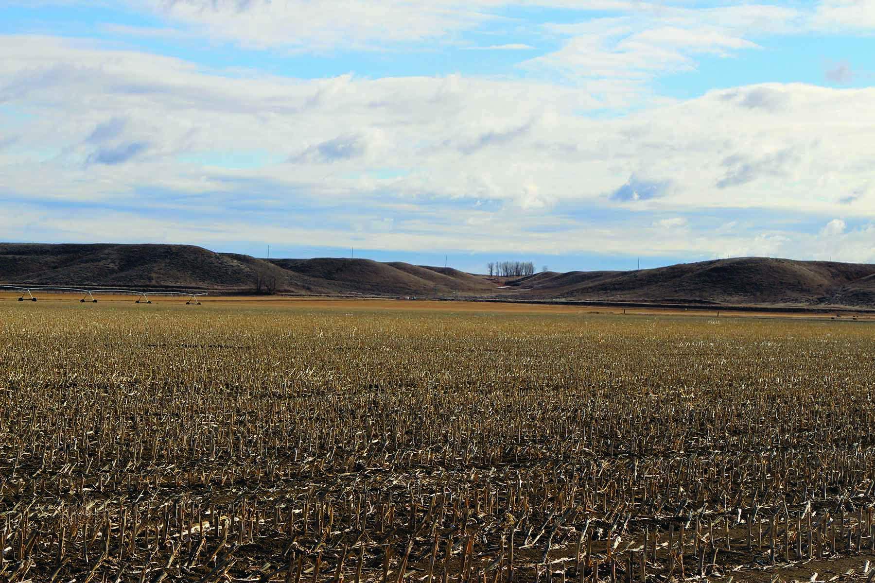 71 Ranch Hysham Farm - Sold - Montana - Hall and Hall