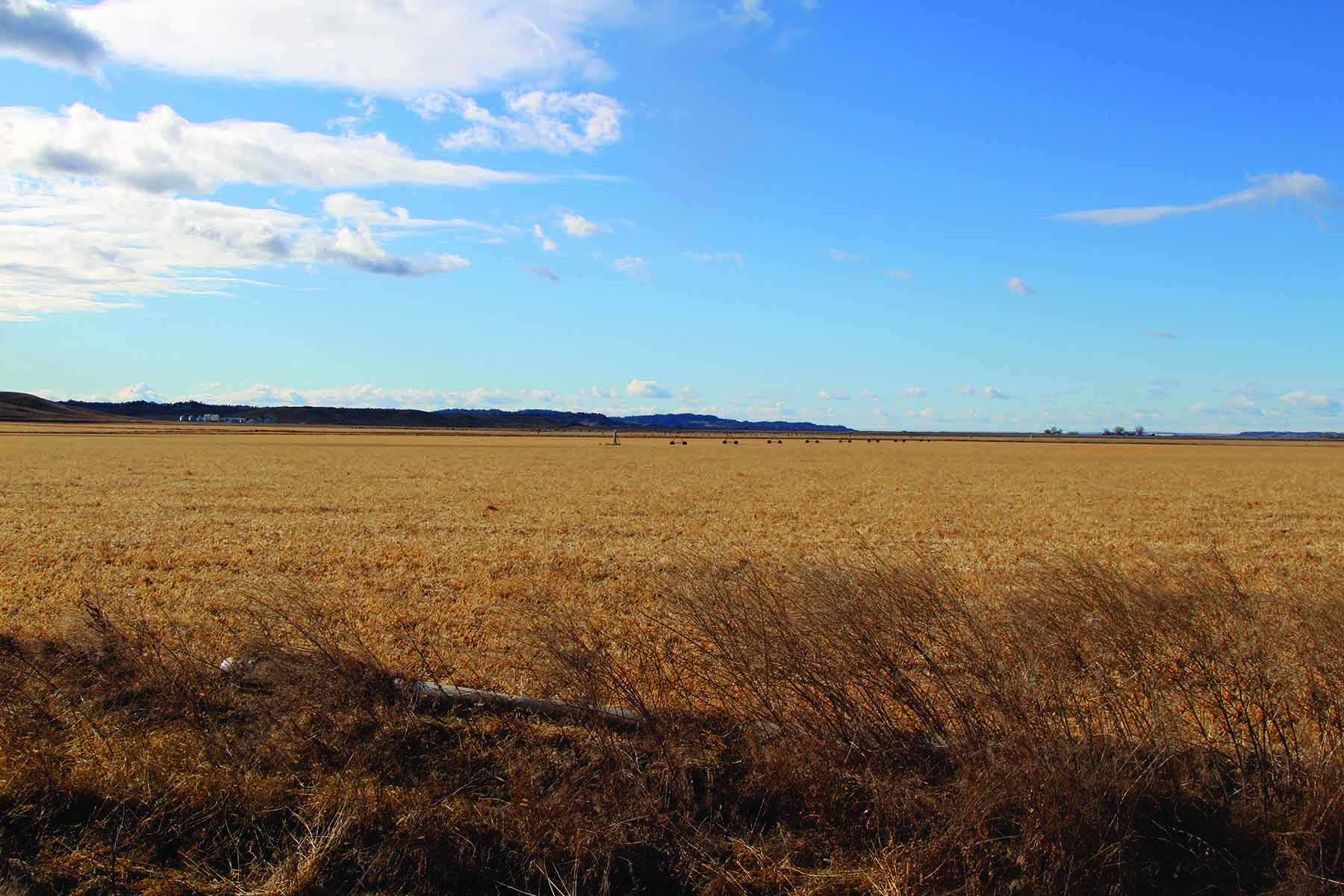 71 Ranch Hysham Farm - Sold - Montana - Hall and Hall