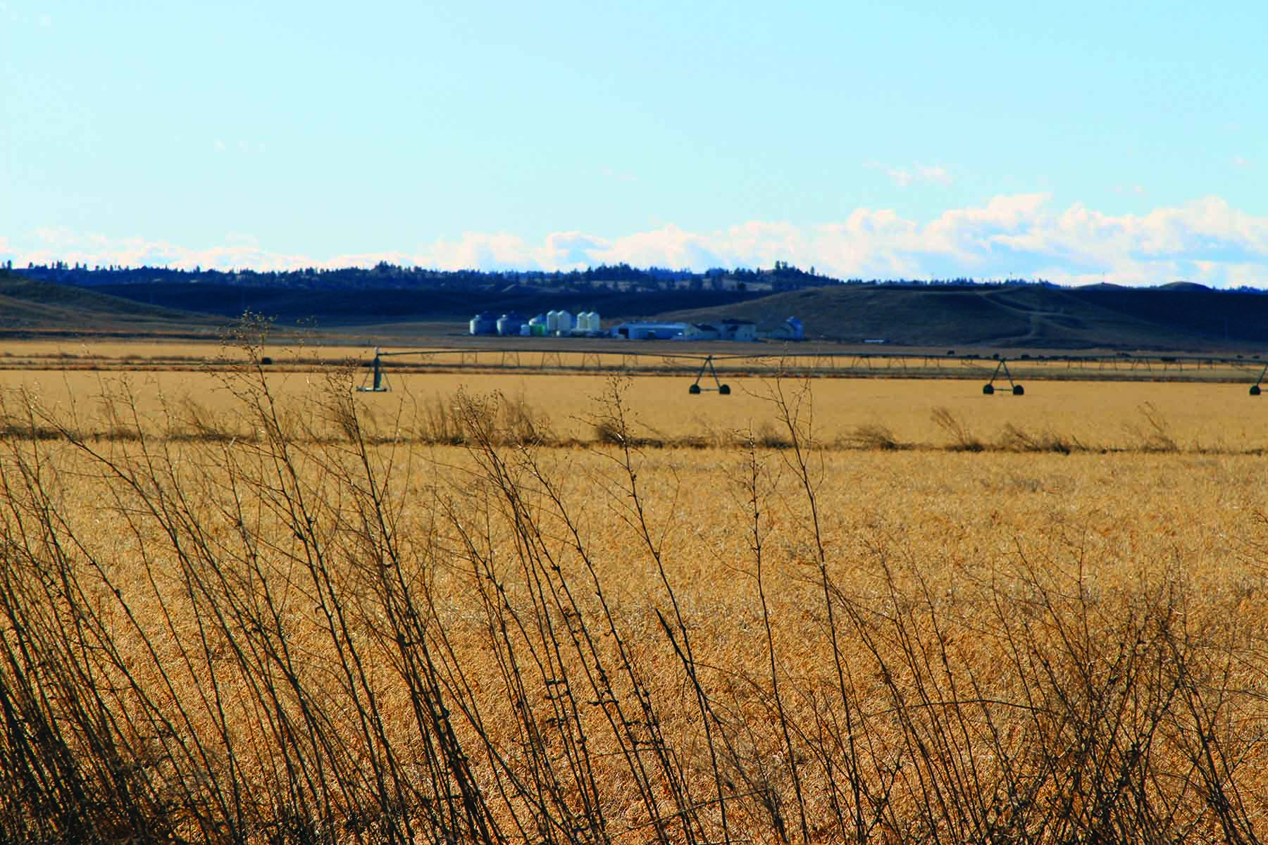 71 Ranch Hysham Farm - Sold - Montana - Hall and Hall