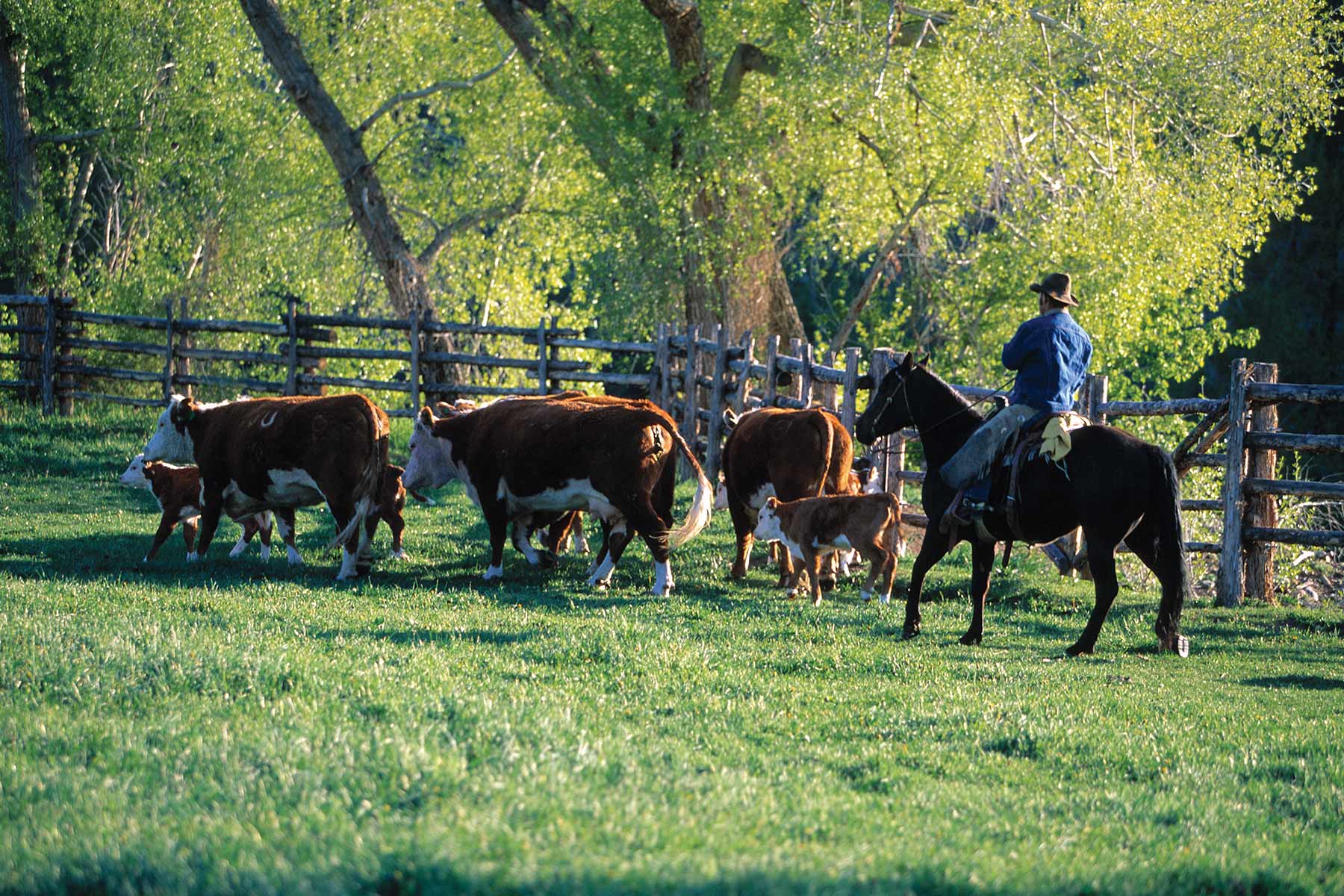 Centennial Ranch - Sold - Colorado - Hall and Hall