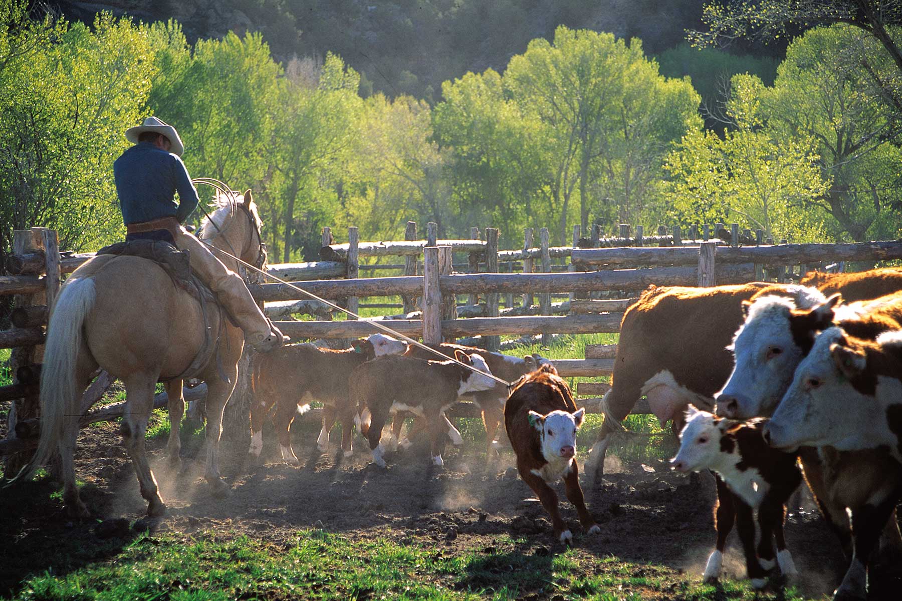 Centennial Ranch - Sold - Colorado - Hall and Hall