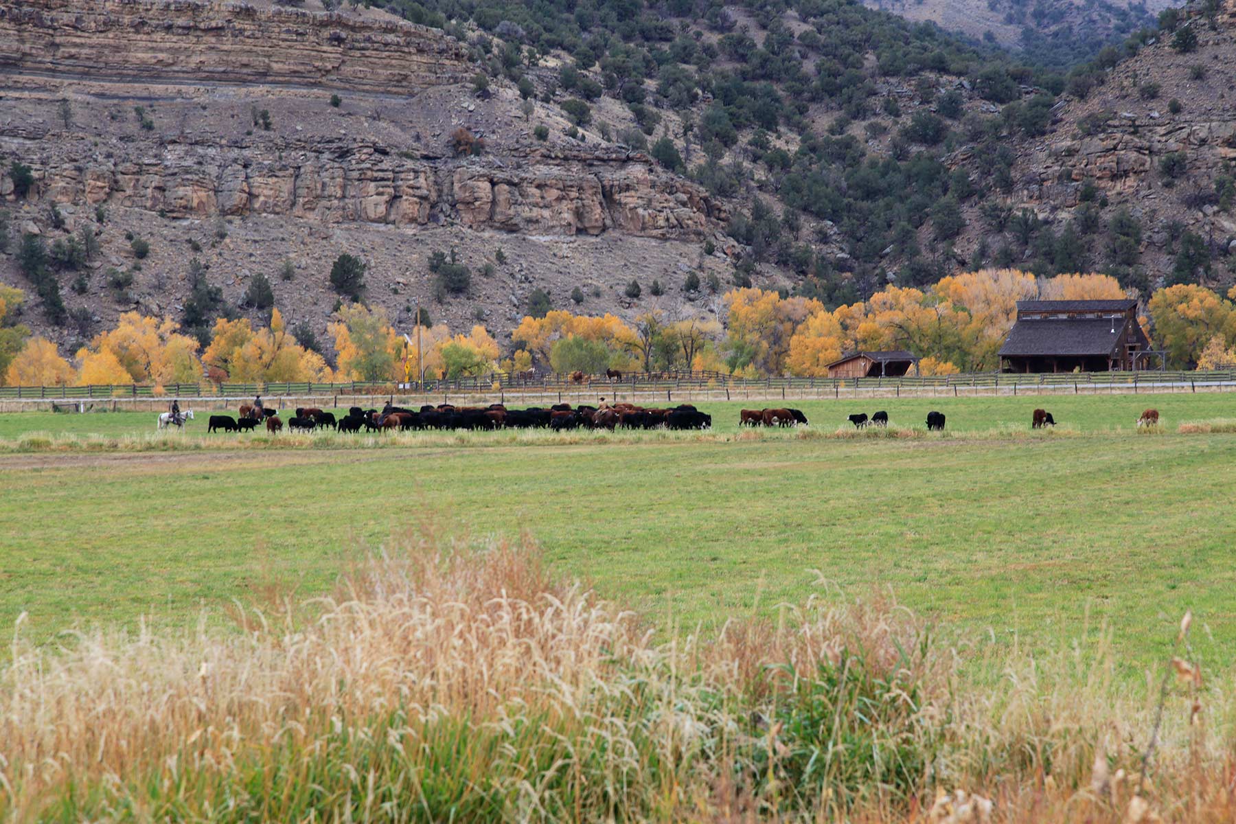 Centennial Ranch - Hall and Hall