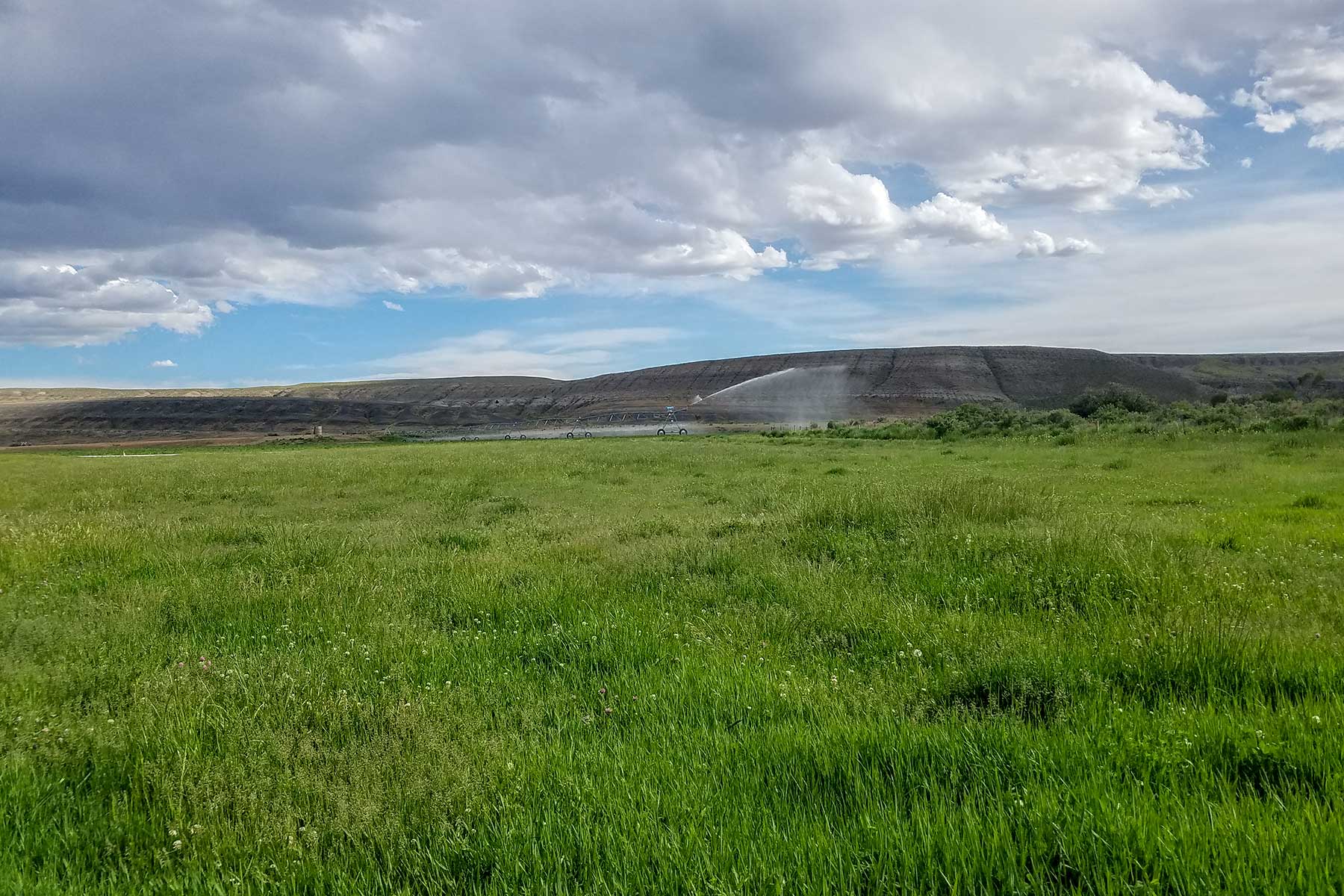 Diamond S Ranch - Sold - Wyoming - Hall and Hall