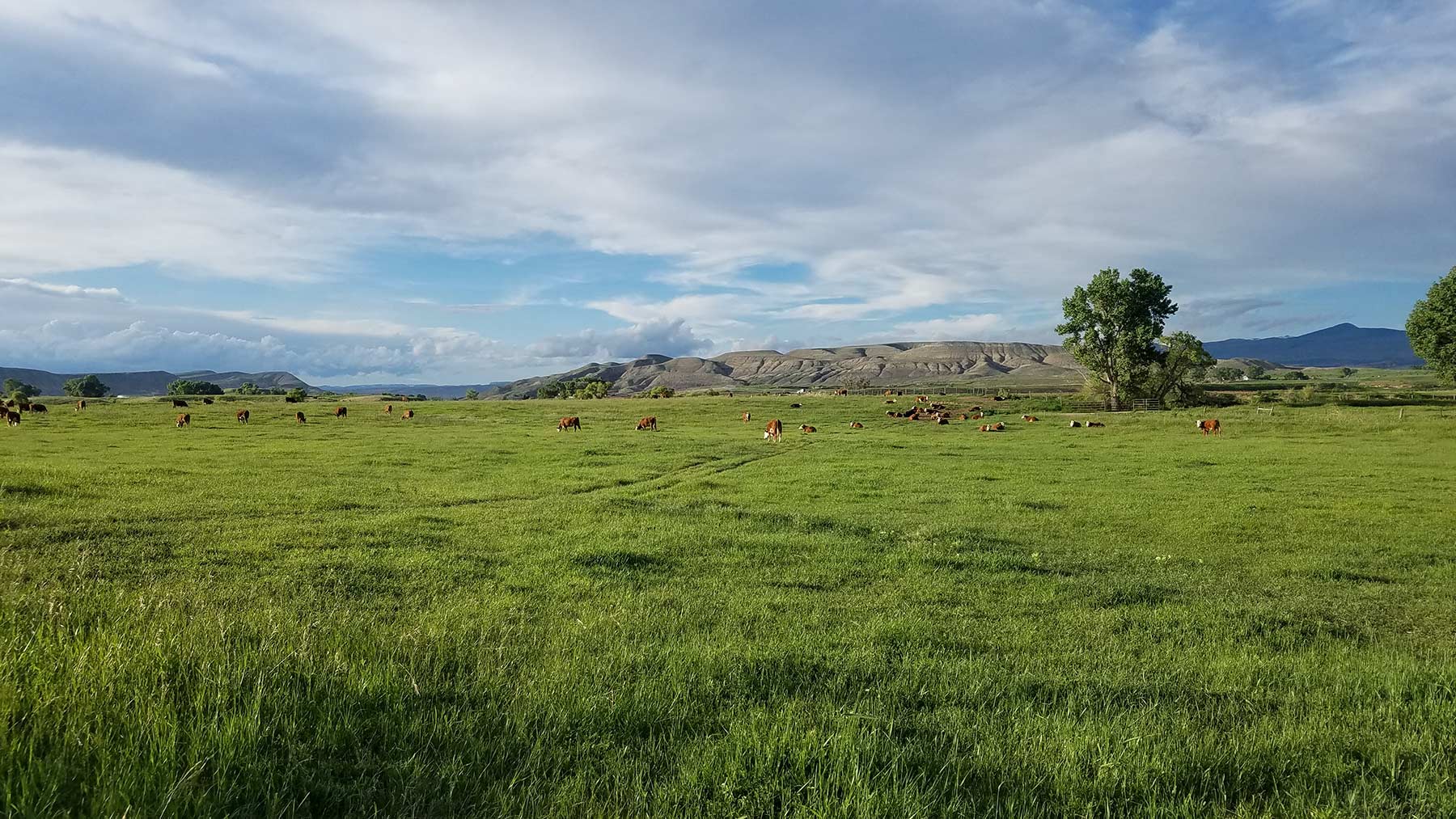 Diamond S Ranch - Sold - Wyoming - Hall and Hall