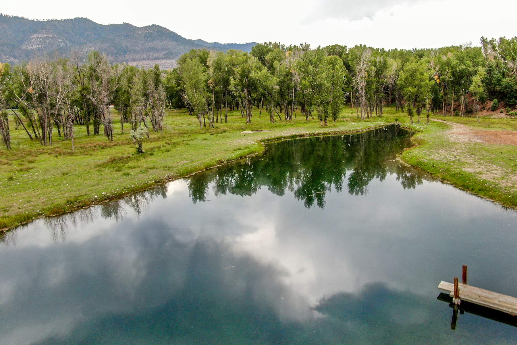 Red Bridge Estate - Sold - Colorado - Hall and Hall