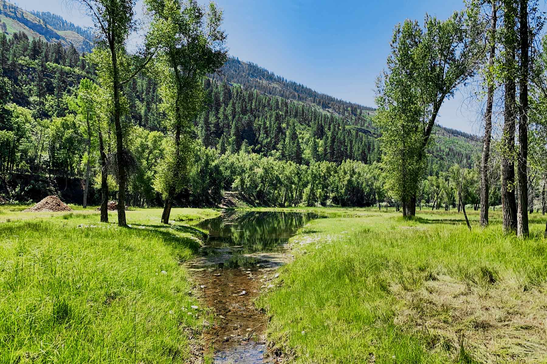 Red Bridge Estate - Sold - Colorado - Hall and Hall