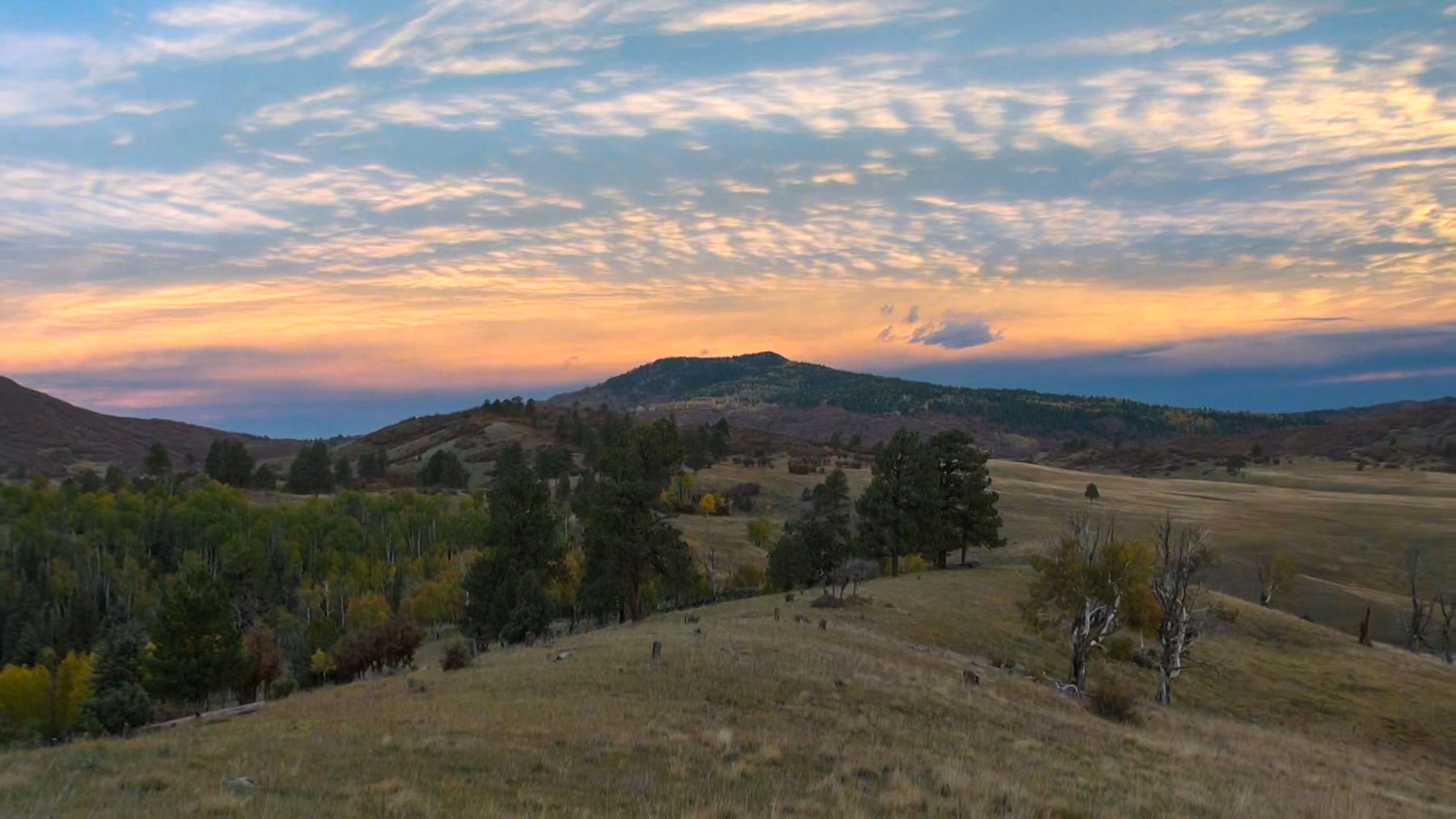 Quinlan Ranch - Hall and Hall