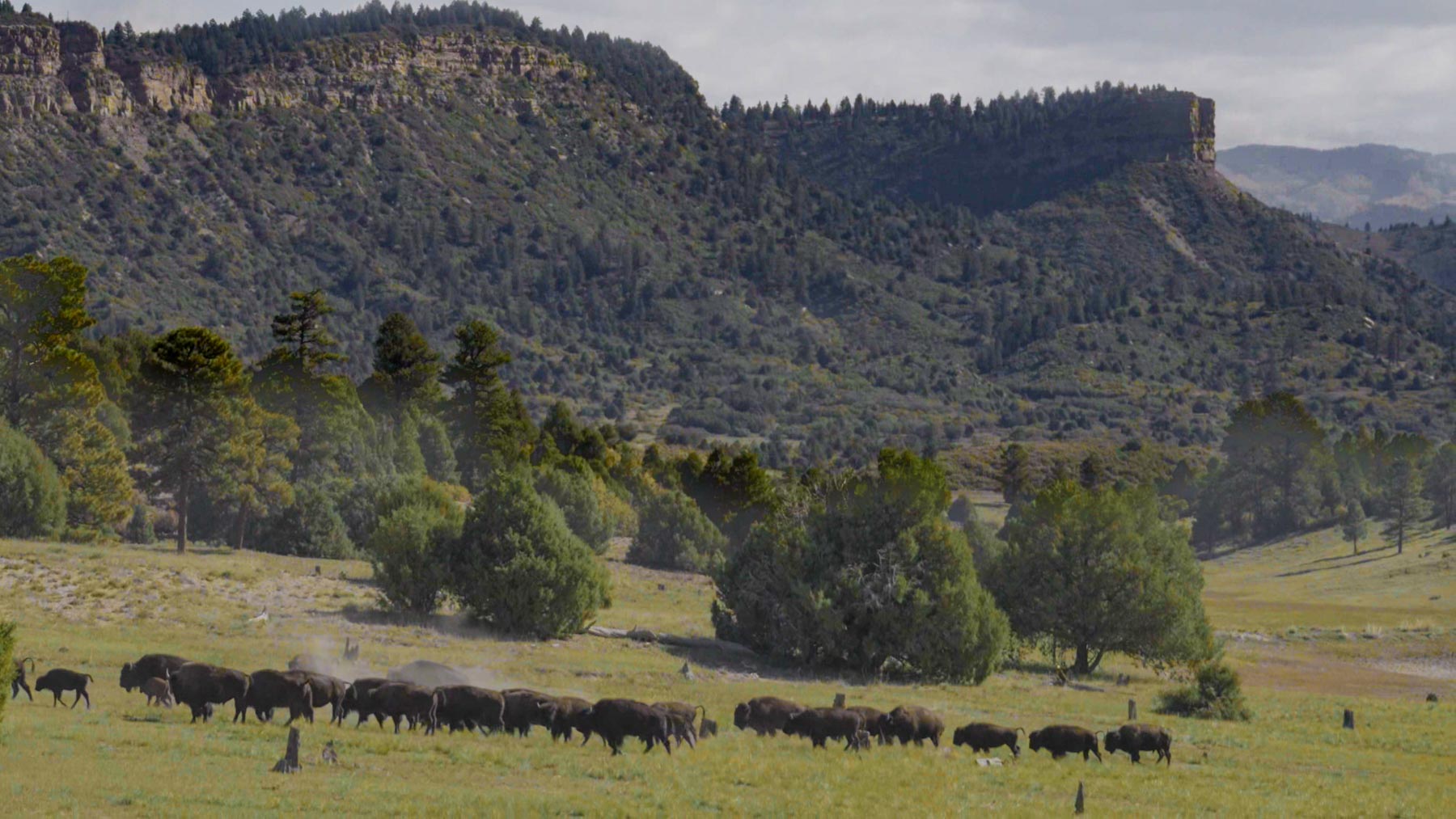 Quinlan Ranch - Hall and Hall