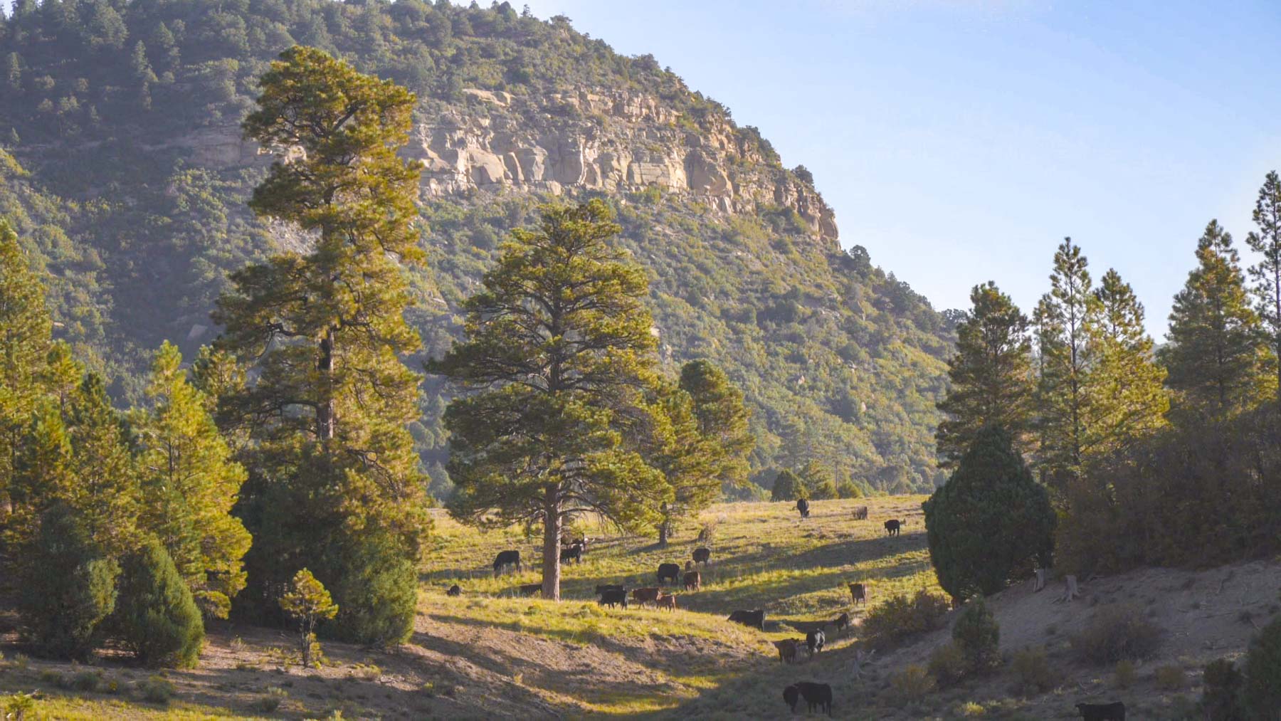 Quinlan Ranch - Hall and Hall