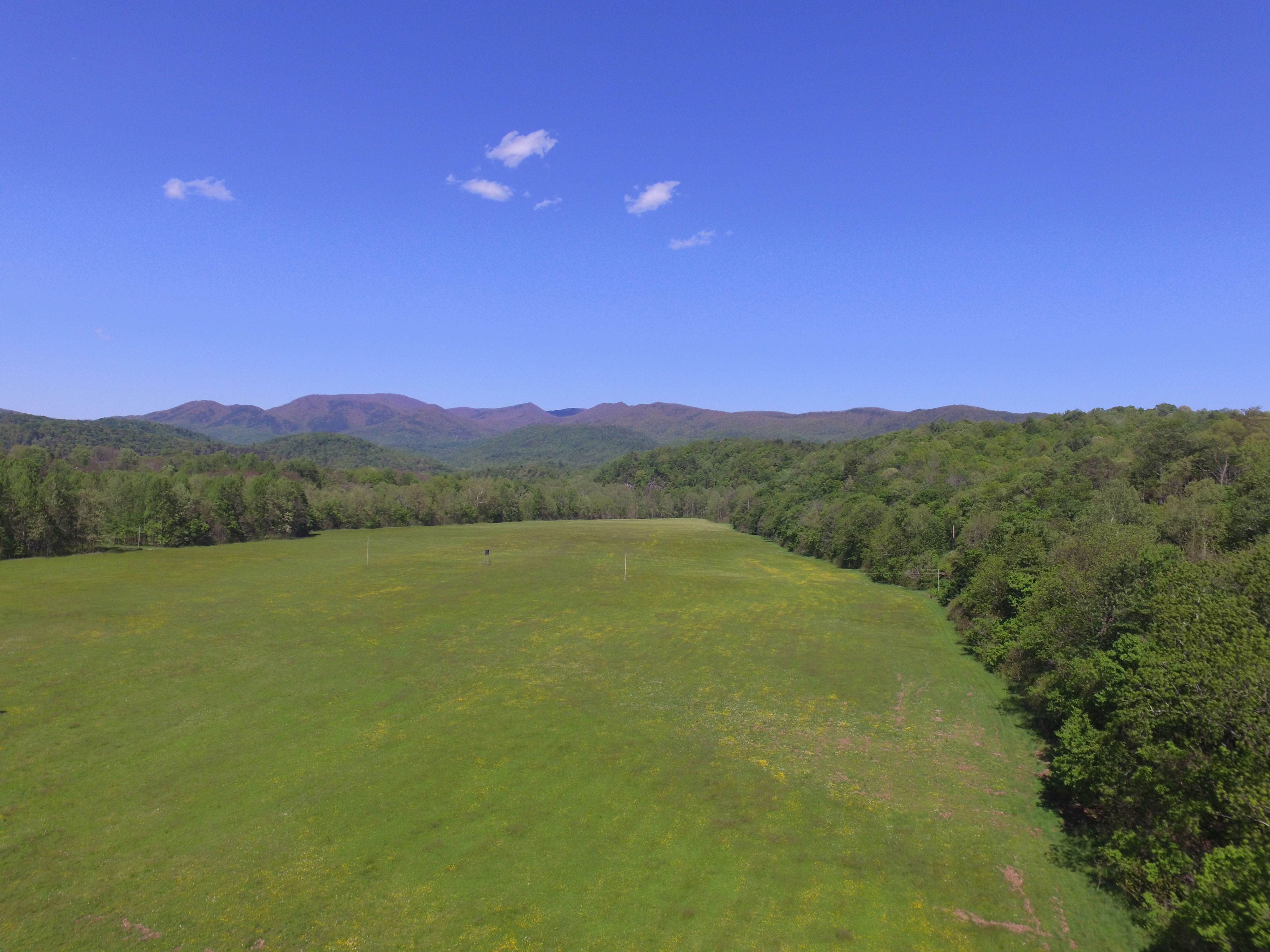 RiverStone Ranch - Past Auction - Virginia - Hall and Hall