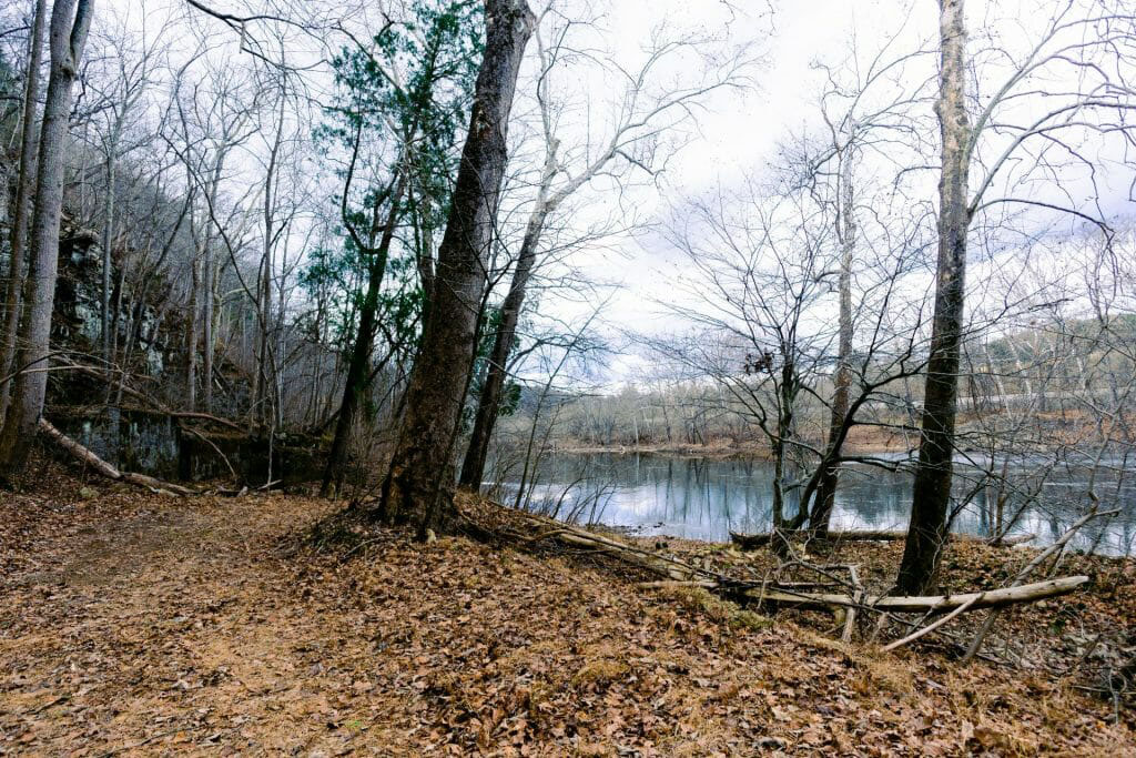 RiverStone Ranch - Past Auction - Virginia - Hall and Hall