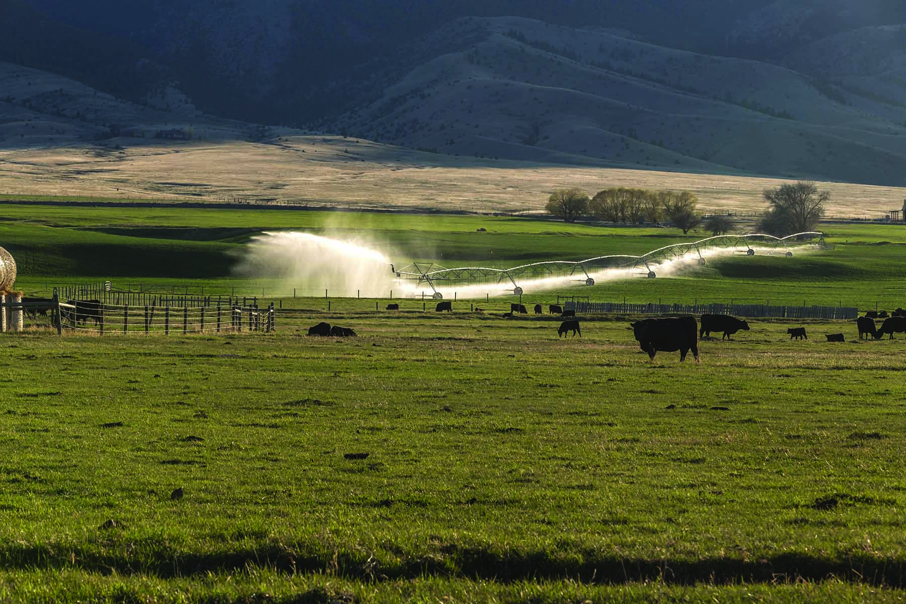 Ruby River Ranch - Sold - Montana - Hall and Hall