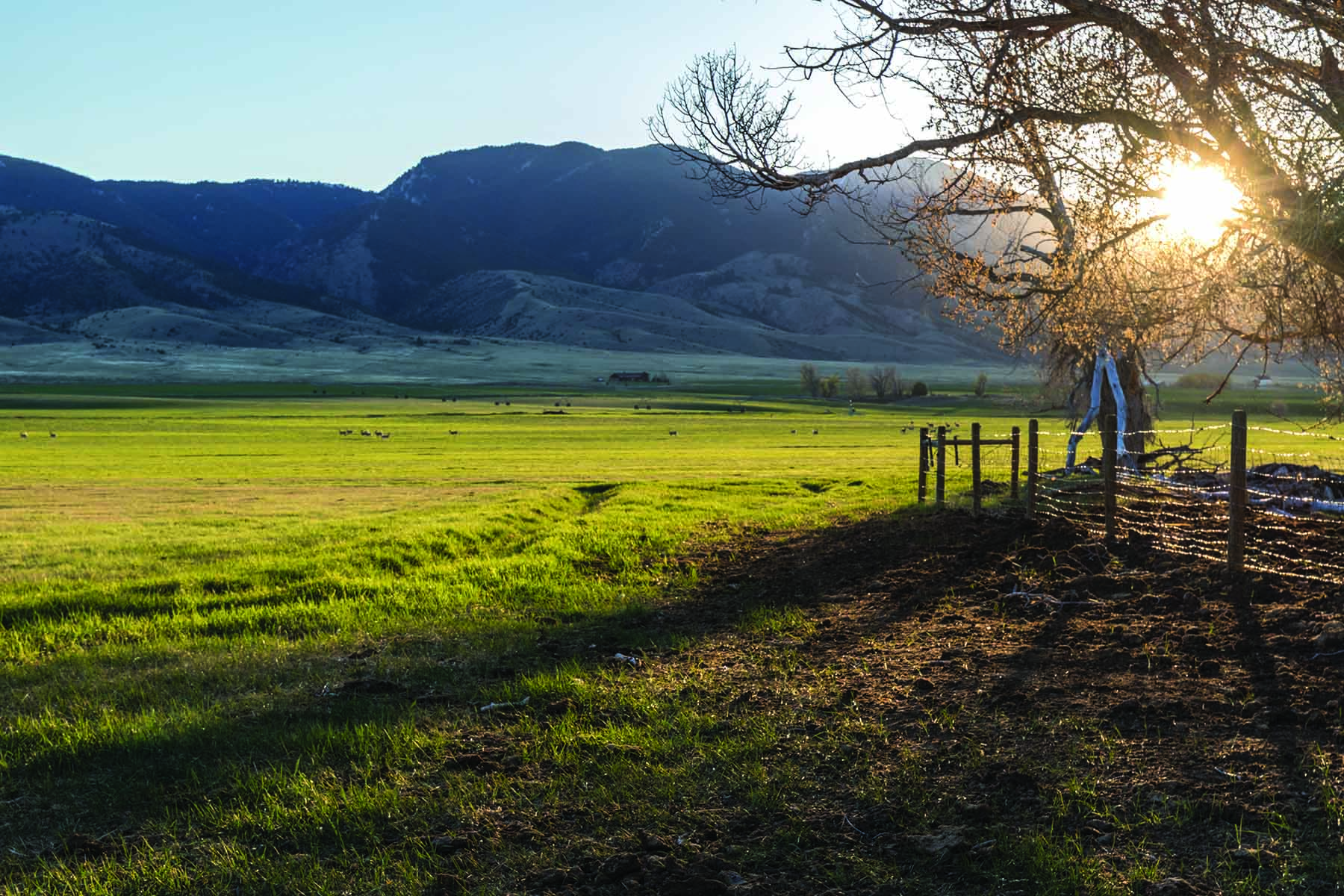 Ruby River Ranch - Sold - Montana - Hall and Hall