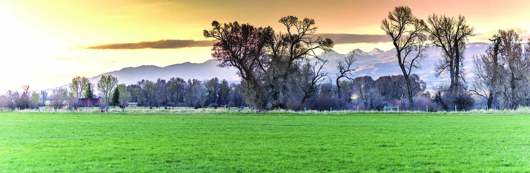 Ruby River Ranch - Sold - Montana - Hall and Hall