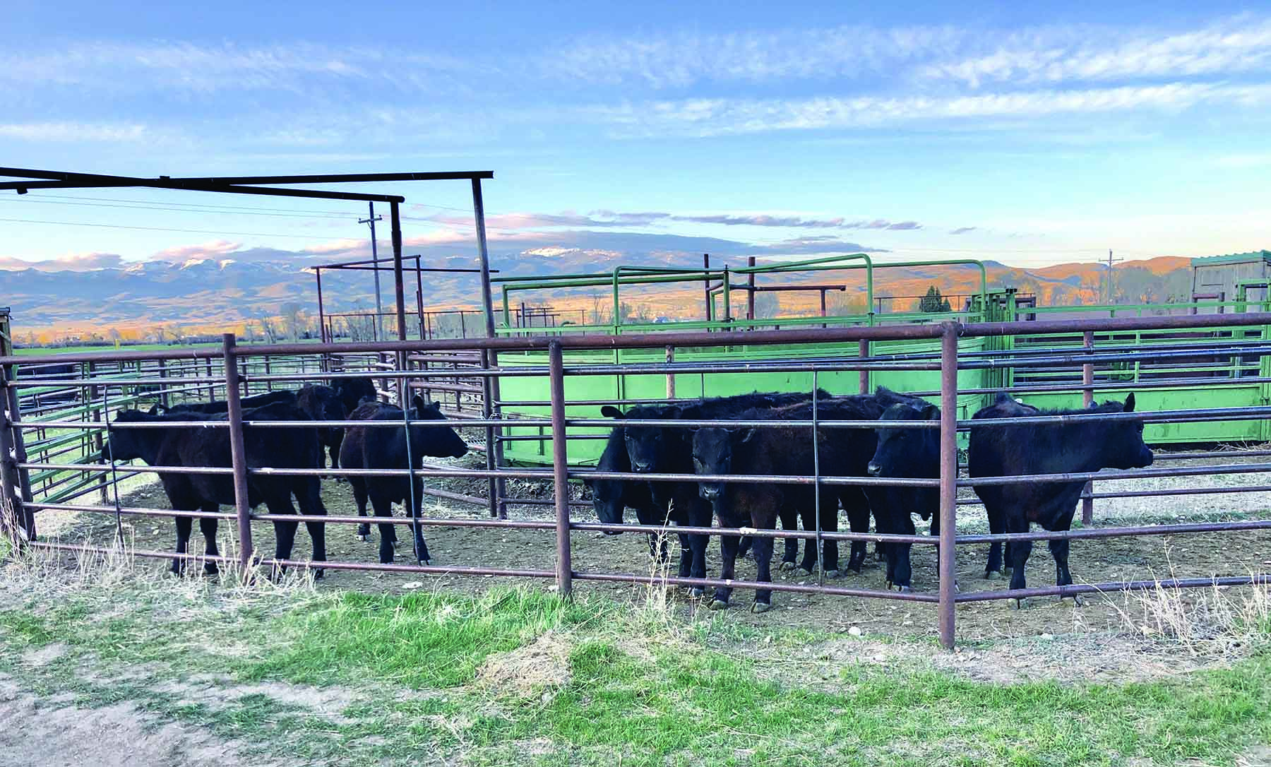 Ruby River Ranch - Sold - Montana - Hall and Hall