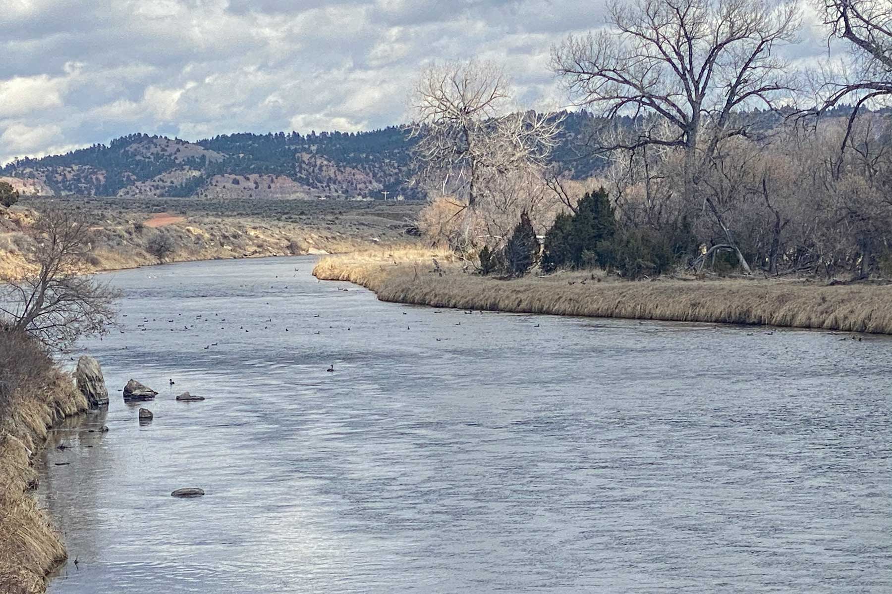 Lazy XY Ranch - Sold - Montana - Hall and Hall