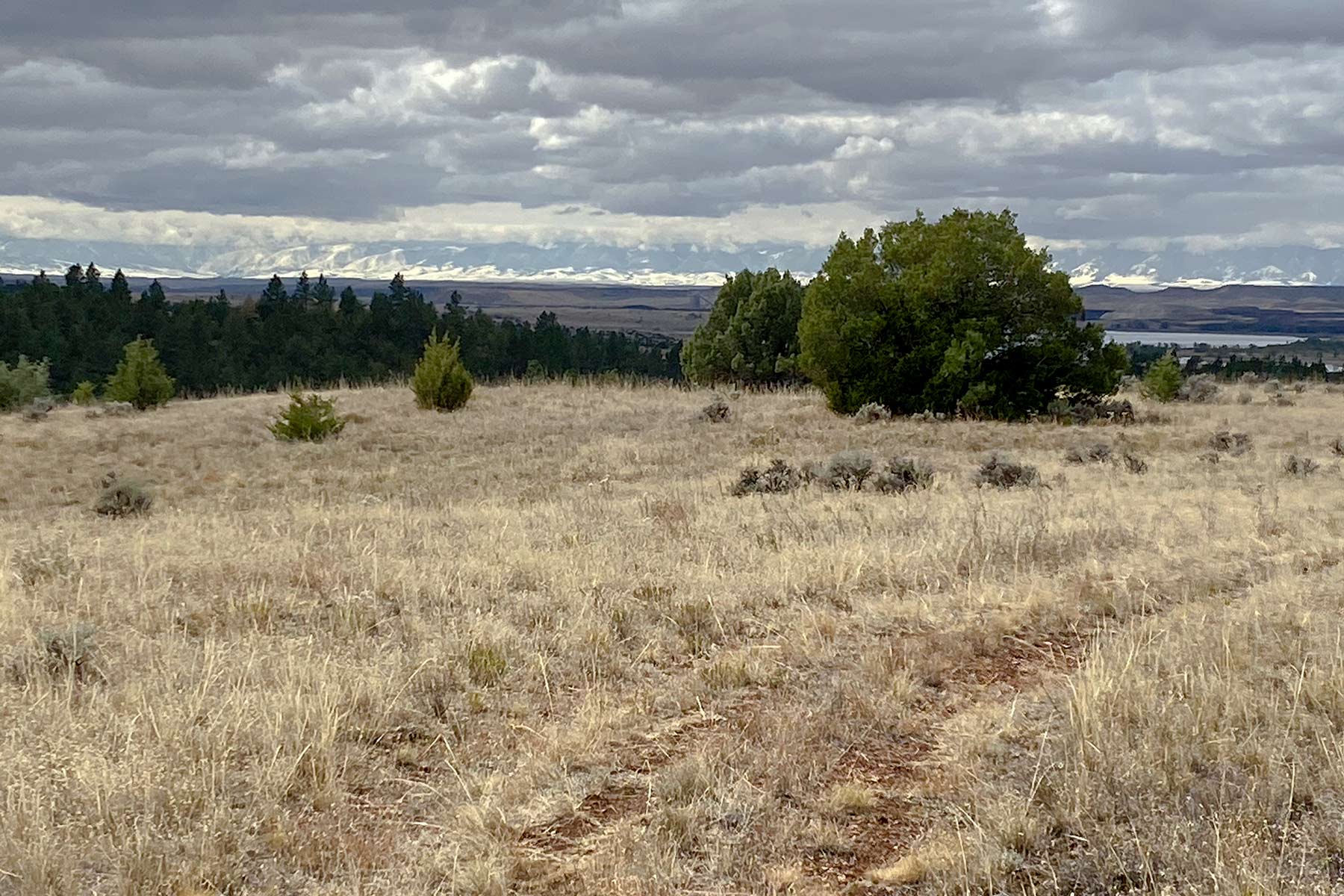 Lazy XY Ranch - Sold - Montana - Hall and Hall