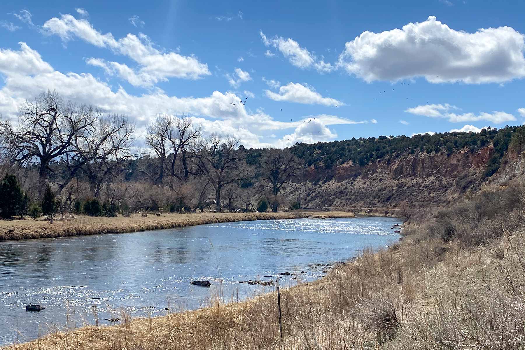 Lazy XY Ranch - Sold - Montana - Hall and Hall