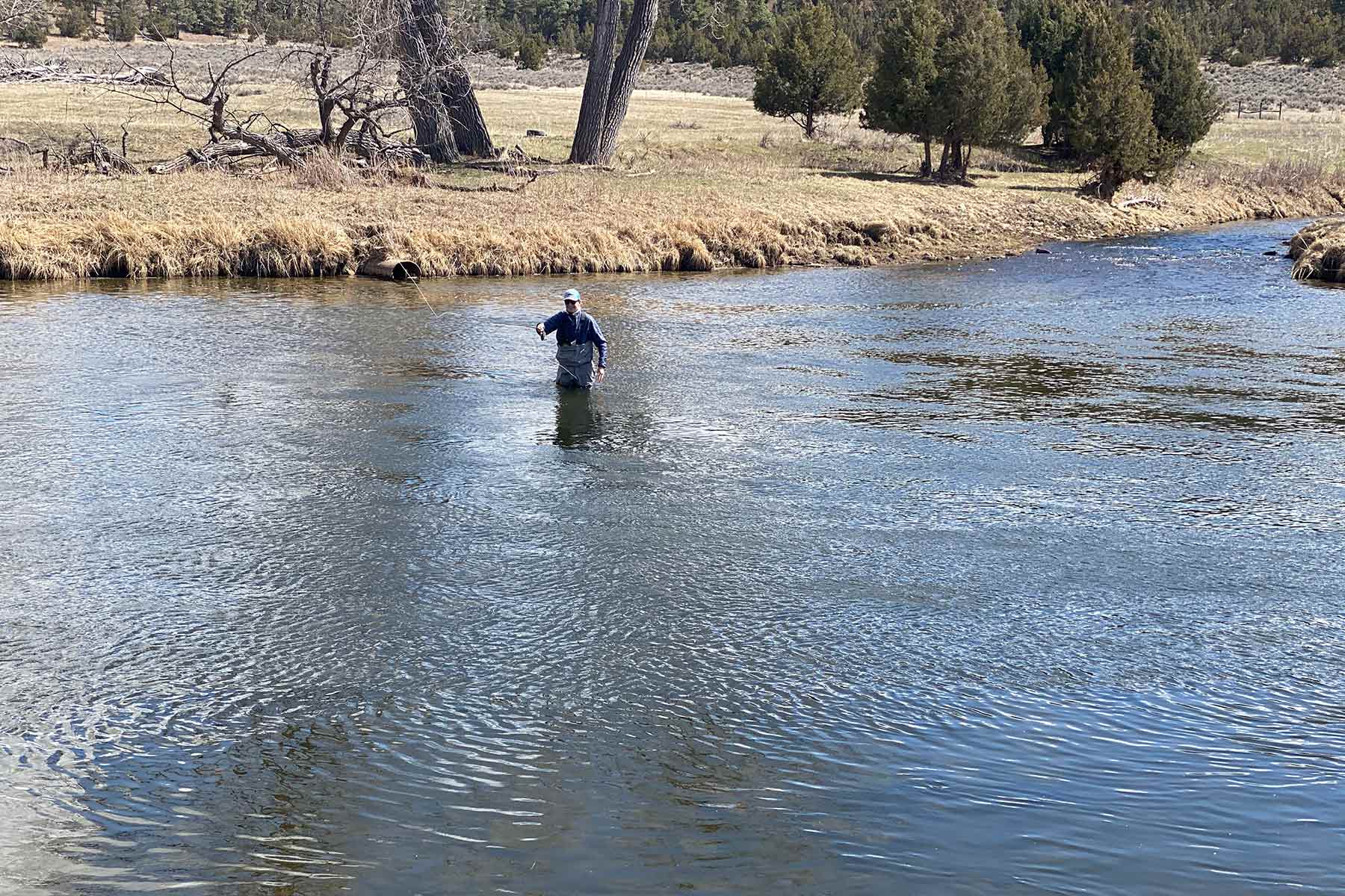 Lazy XY Ranch - Sold - Montana - Hall and Hall