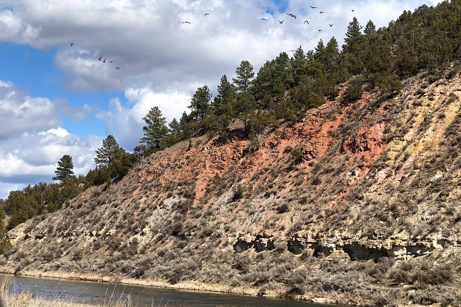 Lazy XY Ranch - Sold - Montana - Hall and Hall