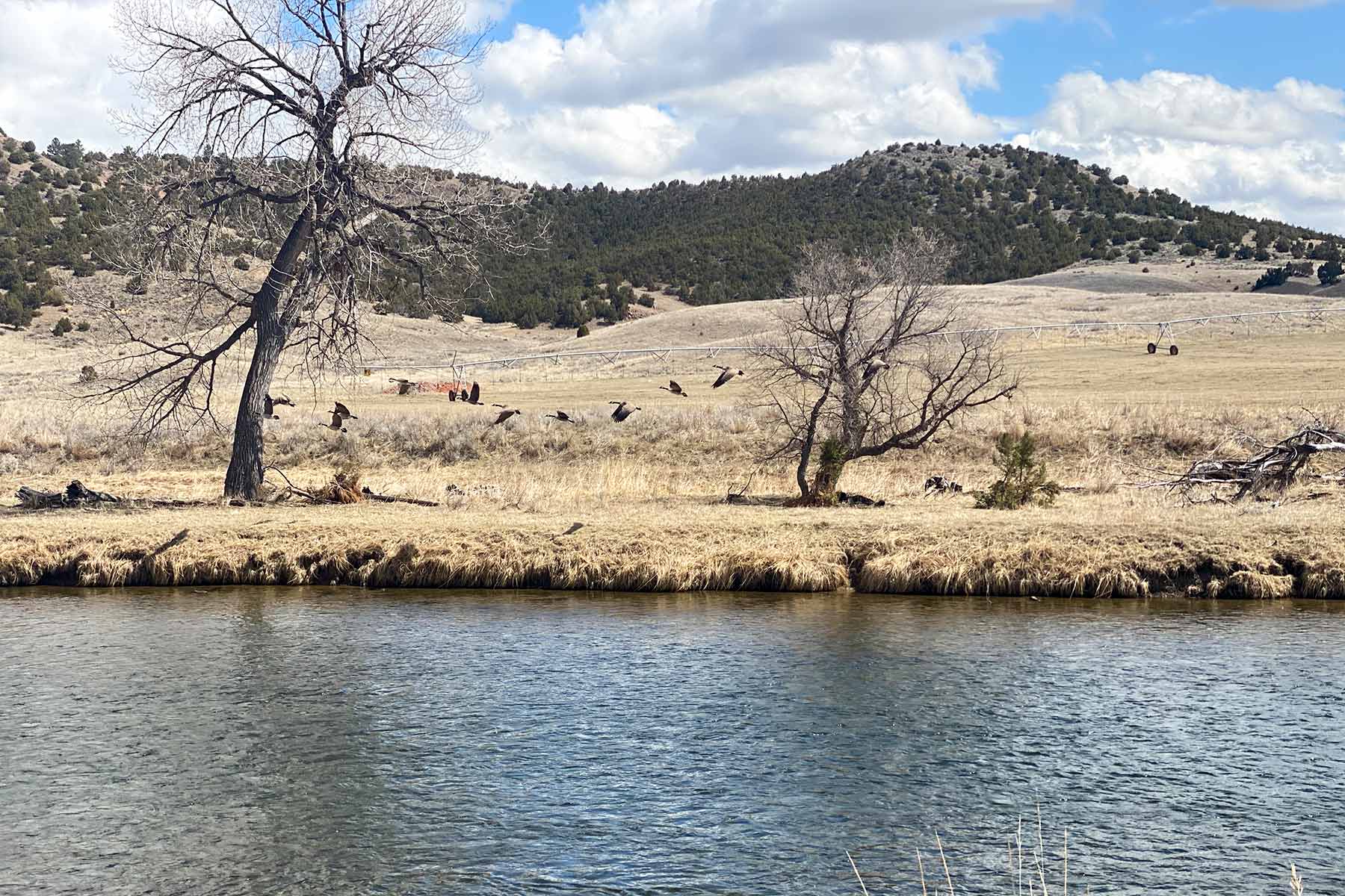 Lazy XY Ranch - Sold - Montana - Hall and Hall